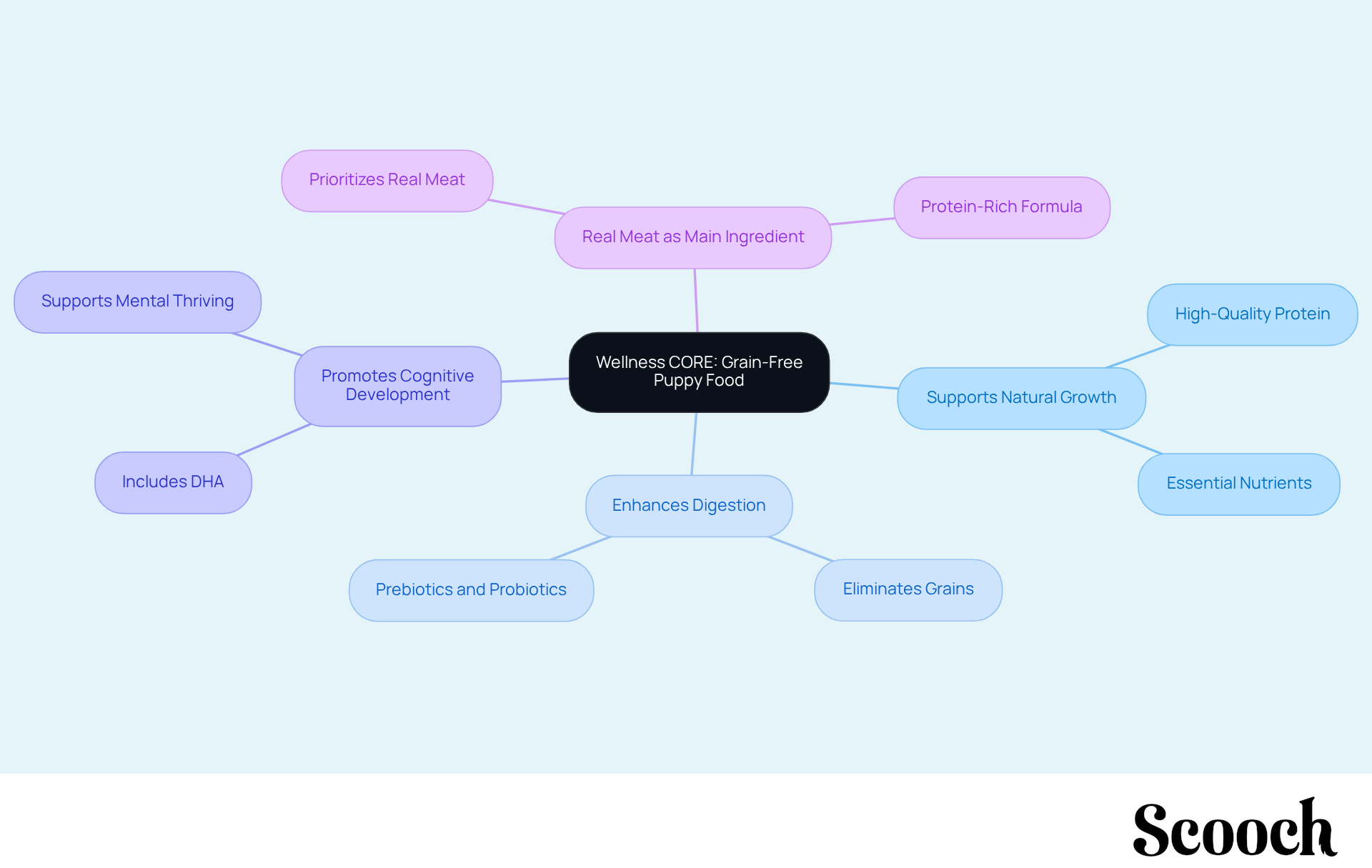 The central node represents the product, and each branch shows a key benefit. Follow the branches to see how each benefit supports your puppy's health and development.