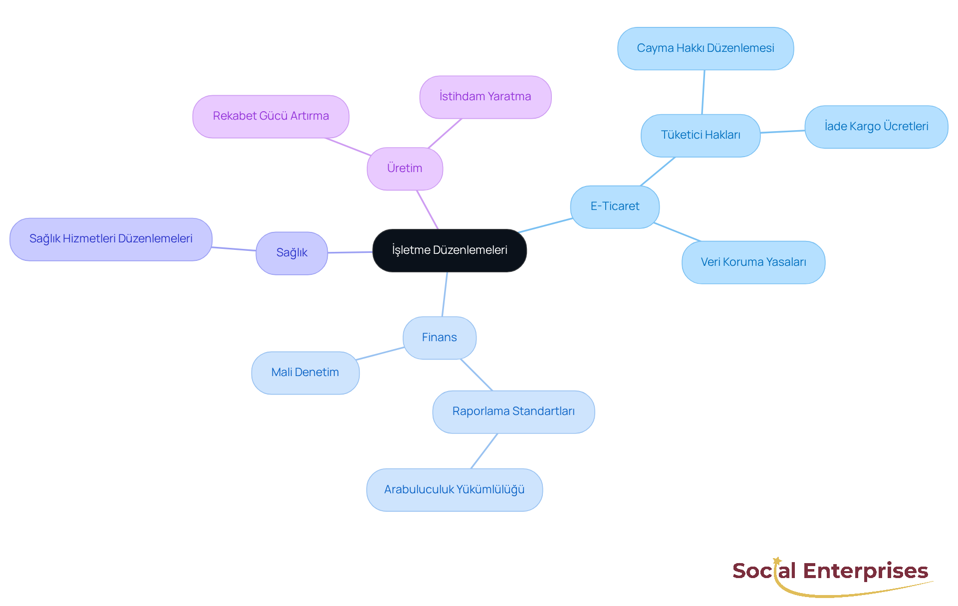 Ortada işletme düzenlemeleri var. Dallar, farklı sektörleri temsil ediyor. Her dalın altında ise o sektör için belirlenen düzenlemeler ve örnekler var. Renkler her sektörün kendine özgü olduğunu gösteriyor. Ortada işletme düzenlemeleri var. Dallar, farklı sektörleri temsil ediyor. Her dalın altında ise o sektör için belirlenen düzenlemeler ve örnekler var. Renkler her sektörün kendine özgü olduğunu gösteriyor.