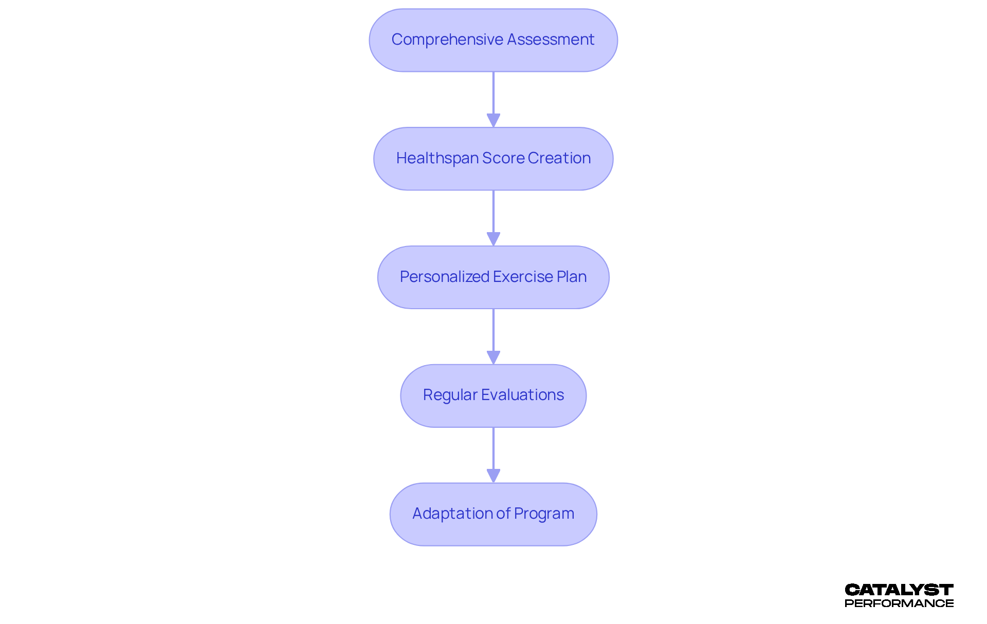 Follow the arrows to see how each step in the training process connects - from assessing your needs to creating a tailored plan and adjusting it as you progress.