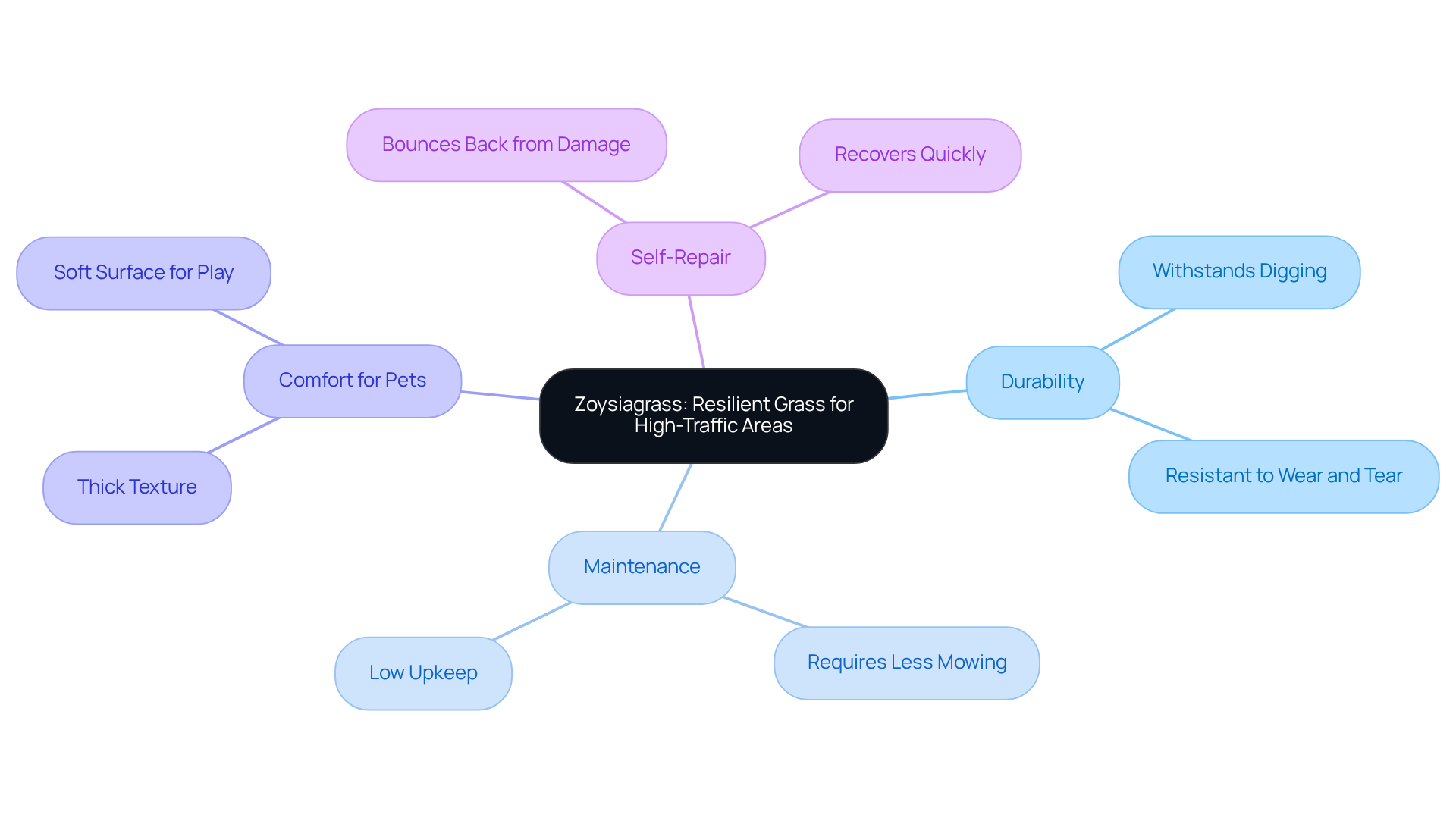 This mindmap shows how Zoysiagrass is beneficial for pet owners. Start at the center with the main topic, then follow the branches to see its key features and how they relate to maintaining a durable lawn for pets. This mindmap shows how Zoysiagrass is beneficial for pet owners. Start at the center with the main topic, then follow the branches to see its key features and how they relate to maintaining a durable lawn for pets.