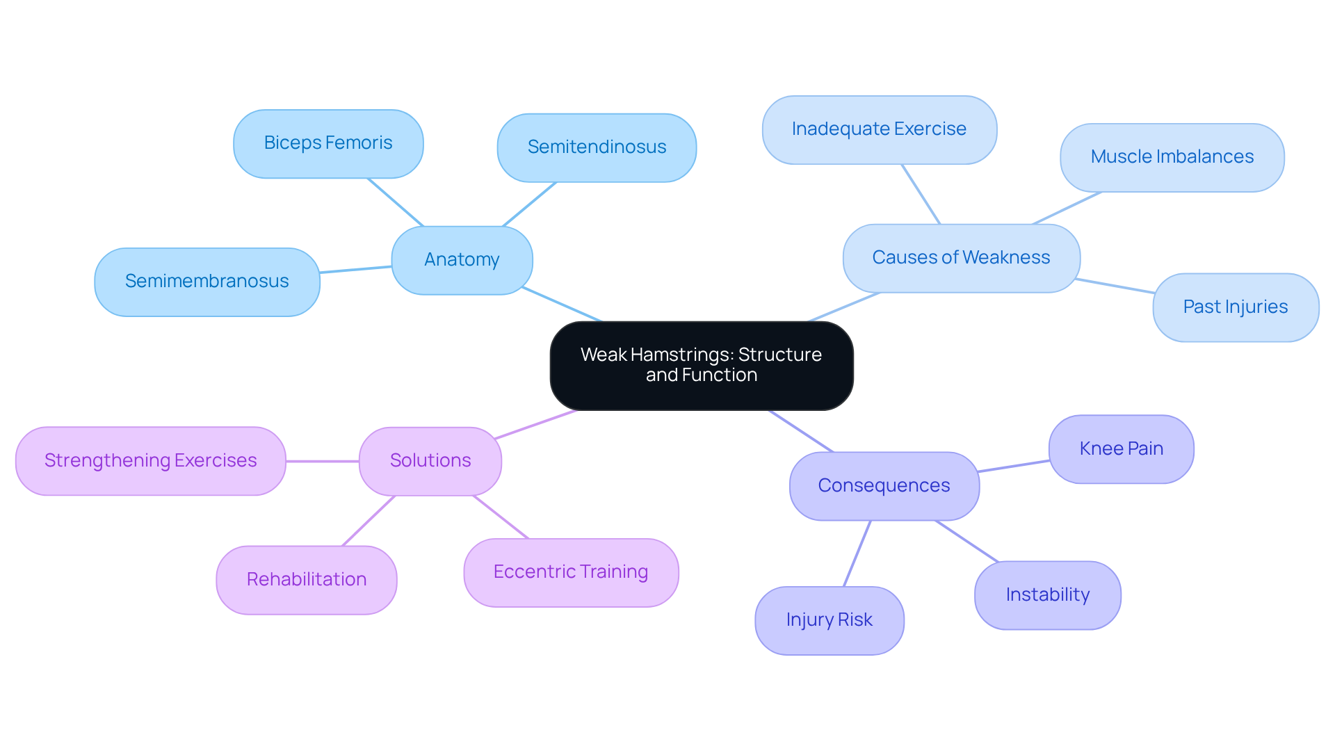 This mindmap helps you explore the connections between weak hamstrings and knee pain. Start at the center with the main topic, then follow the branches to see the anatomy of the hamstrings, what causes them to weaken, the consequences of that weakness, and how to strengthen them. Each branch is color-coded for easy navigation! This mindmap helps you explore the connections between weak hamstrings and knee pain. Start at the center with the main topic, then follow the branches to see the anatomy of the hamstrings, what causes them to weaken, the consequences of that weakness, and how to strengthen them. Each branch is color-coded for easy navigation!