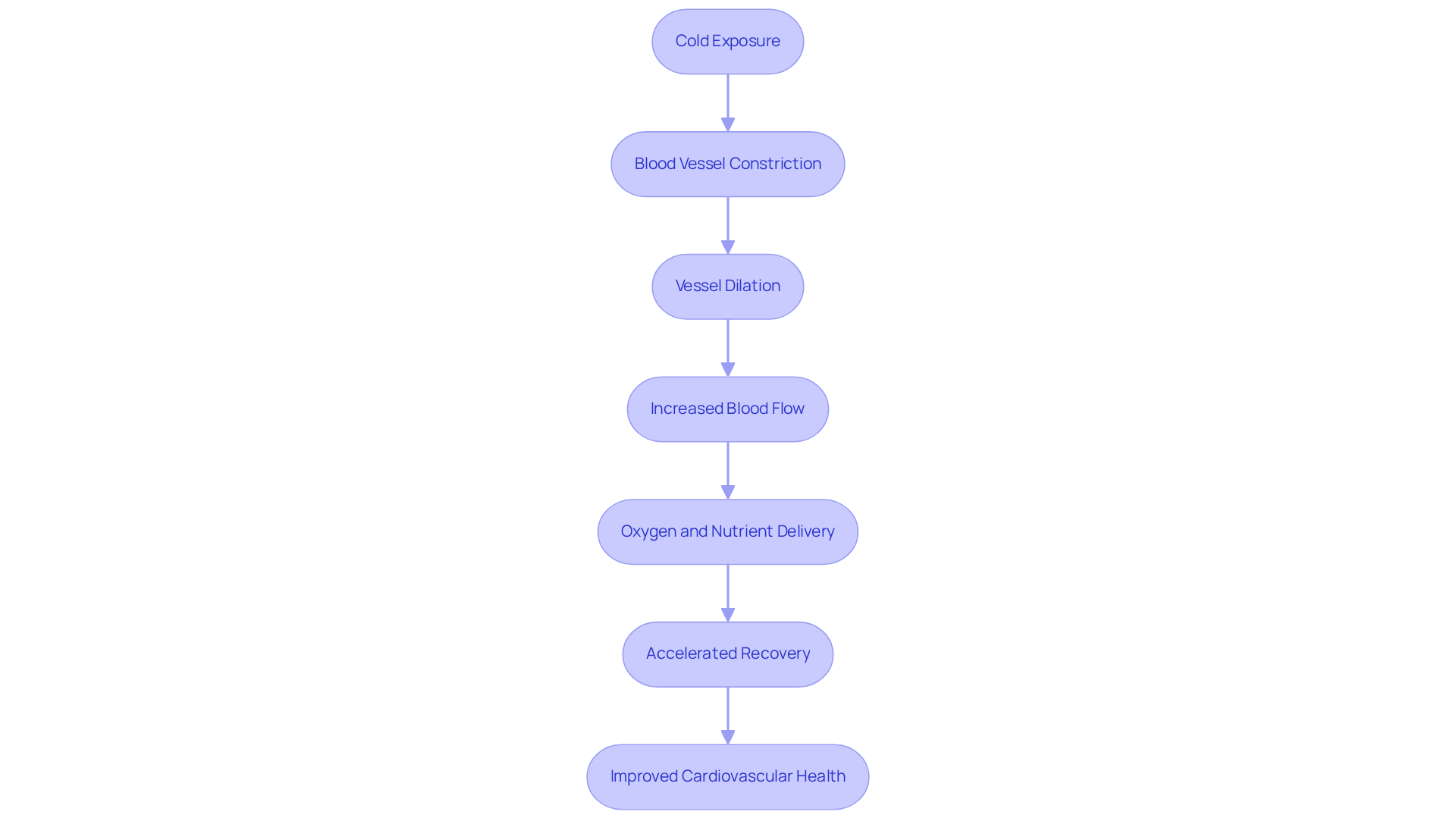 This flowchart shows how cold exposure affects blood circulation step-by-step. Follow the arrows to understand how each stage contributes to better heart health and faster recovery.