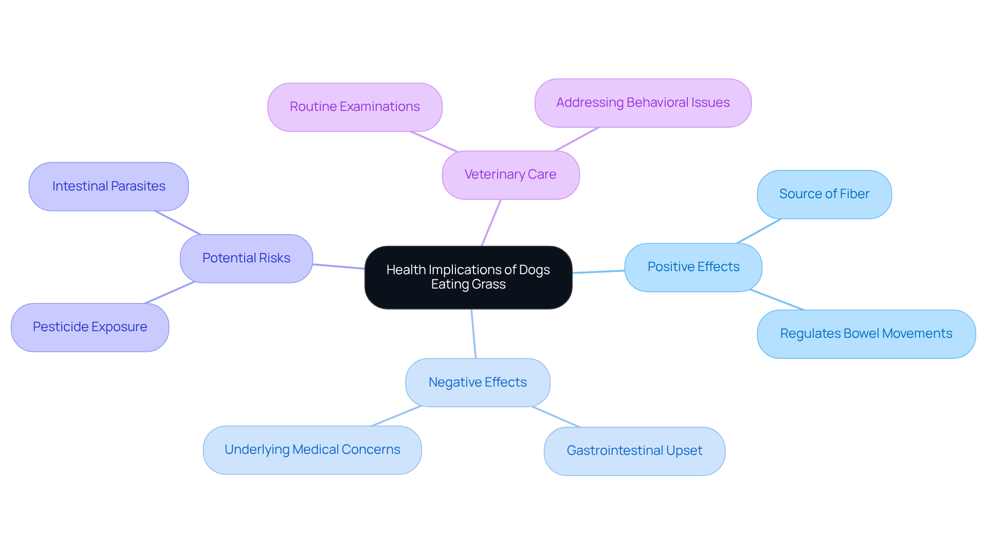 The central node represents the main topic, while the branches show the different aspects of how grass consumption affects dogs. Each color-coded branch helps you easily identify whether the information is about positive effects, negative effects, risks, or veterinary care.