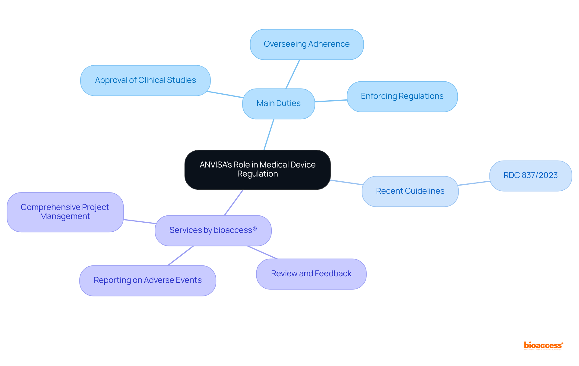 The center shows ANVISA's role, while branches detail its duties and specific services, helping you understand how they all connect in the regulation process.
