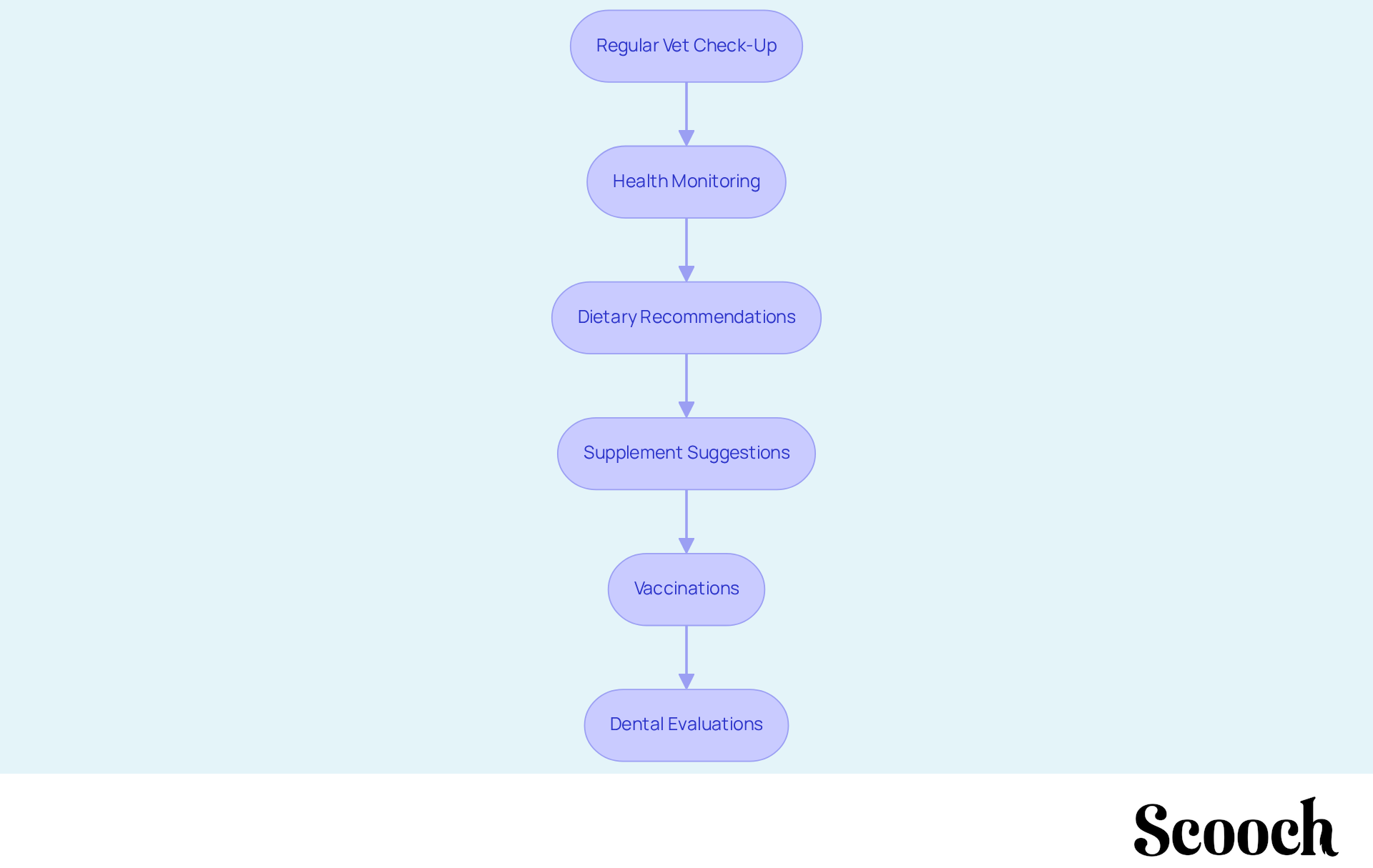 This flowchart shows the steps involved in a regular vet check-up for your dog. Each box represents a key part of the visit, helping you understand how each step contributes to your dog's immune health and overall well-being.