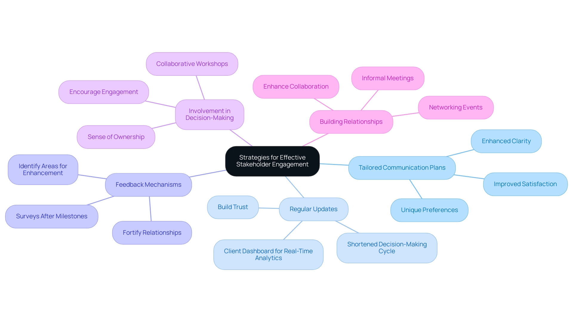 The central node represents the theme of stakeholder engagement, with branches for each strategy, and sub-branches highlighting key actions or points.