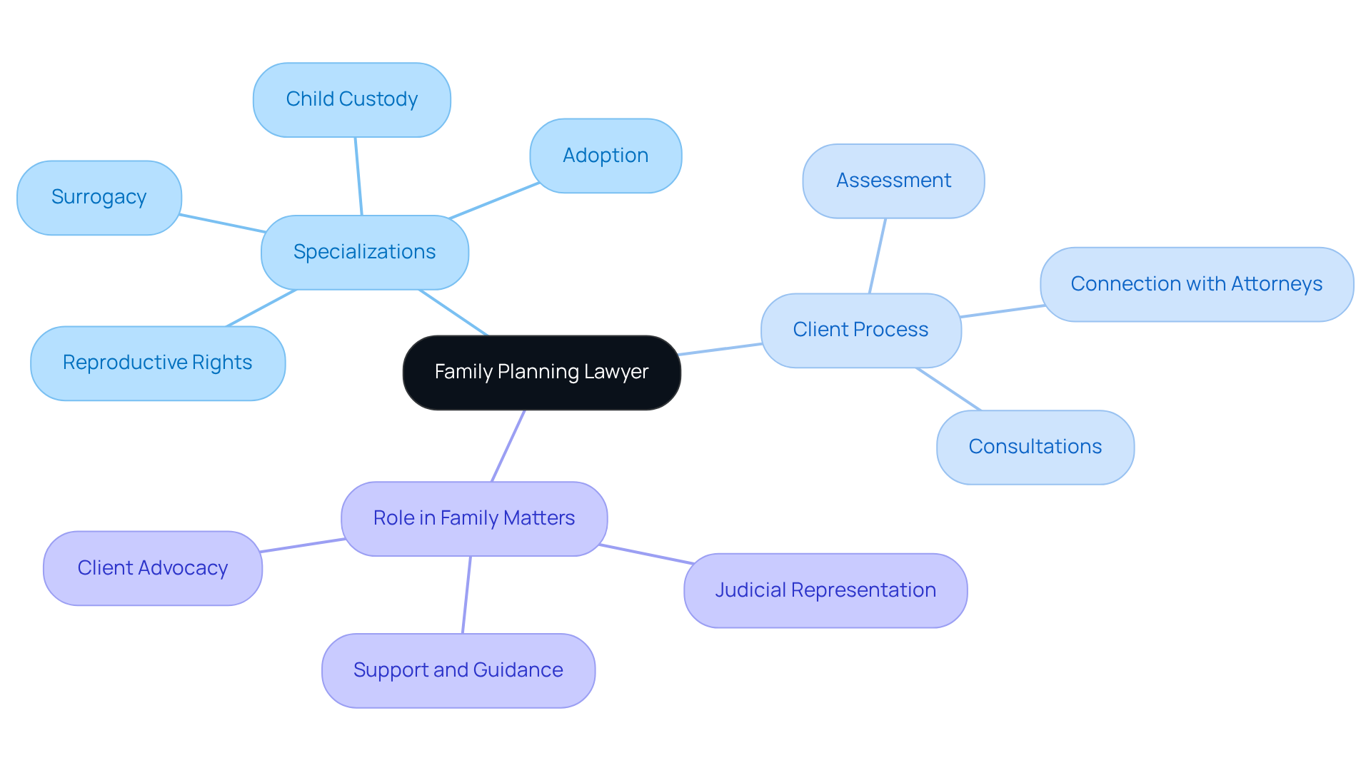The center represents the main topic, and the branches show different aspects of what family planning lawyers do and how they assist clients. Follow the branches to explore each area of specialization and the process clients experience.
