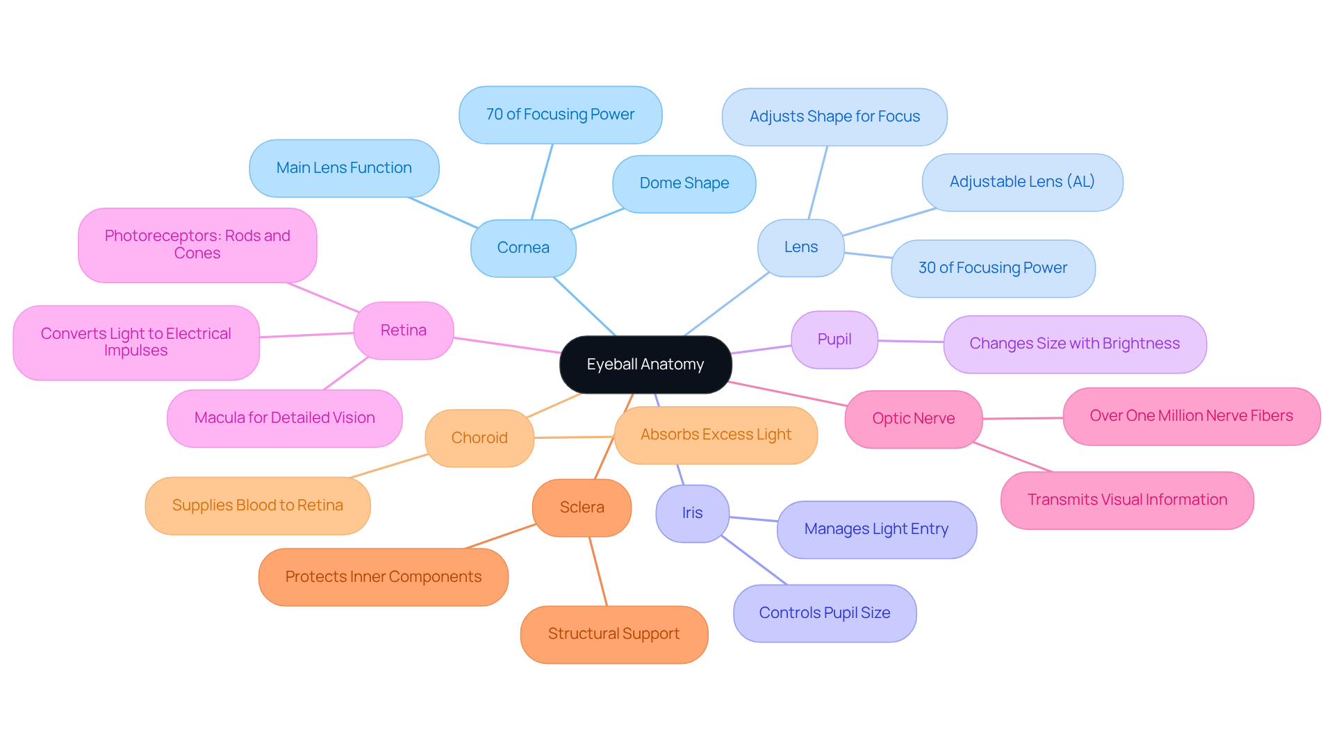 This mindmap illustrates the anatomy of the eyeball. Start at the center with 'Eyeball Anatomy' and explore each branch to learn about the different parts and their functions. Each color-coded branch represents a specific part of the eye, making it easy to see how they all connect and contribute to vision.