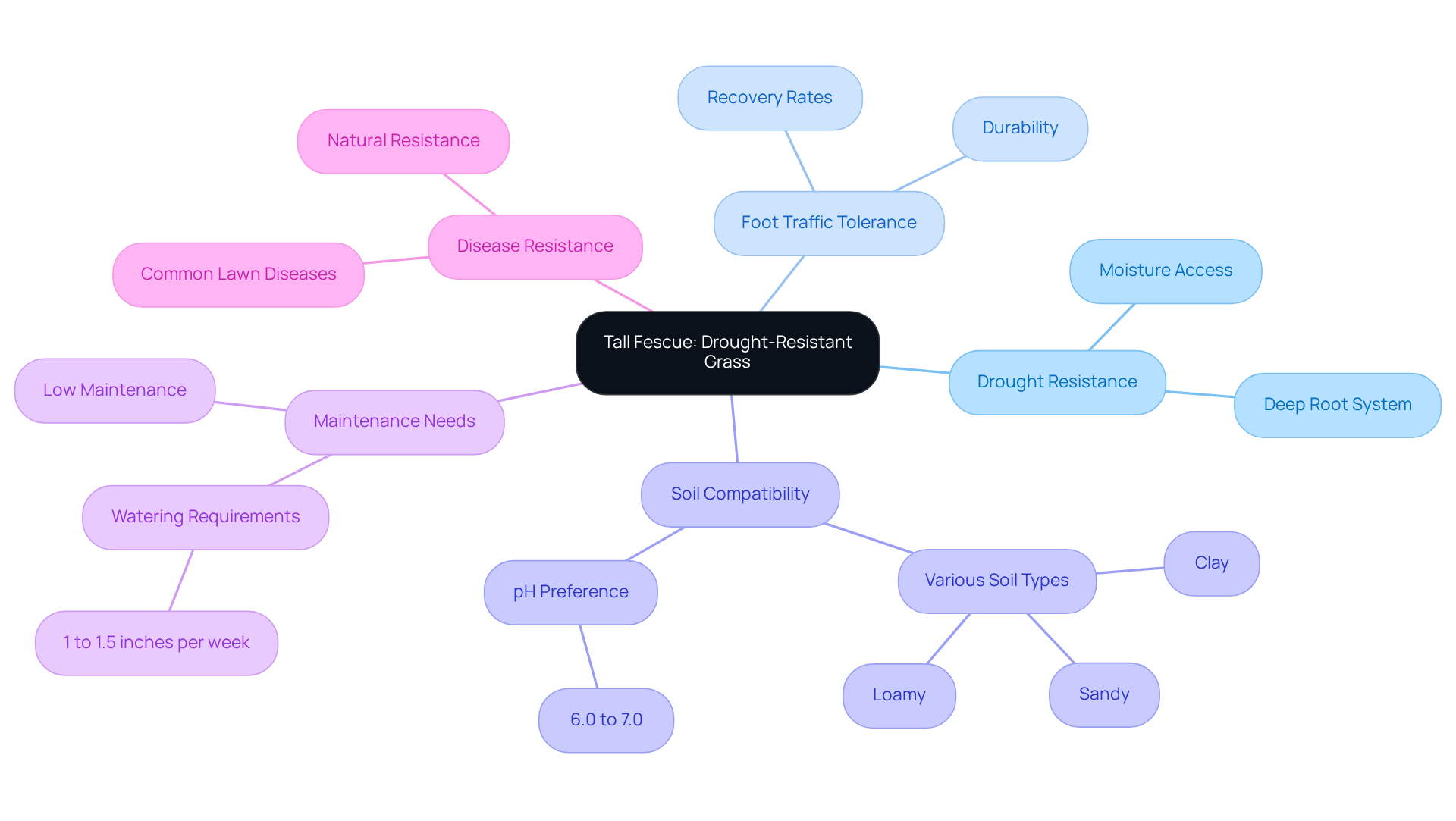 The central node represents Tall Fescue grass, while the branches show its key features. Each sub-branch provides more details about those features, helping you understand why it's a great choice for lawns with pets. The central node represents Tall Fescue grass, while the branches show its key features. Each sub-branch provides more details about those features, helping you understand why it's a great choice for lawns with pets.