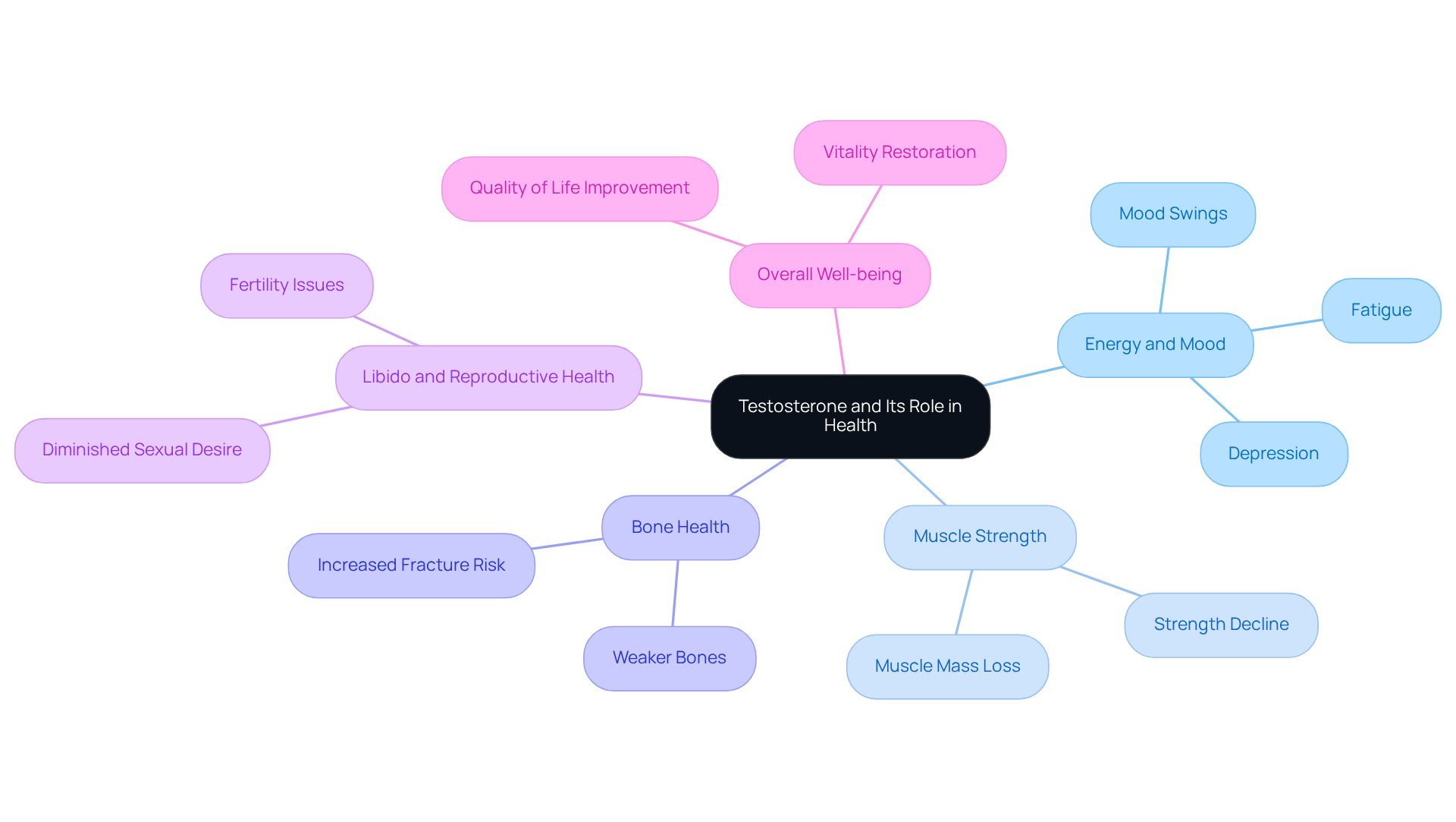 This mindmap shows how testosterone affects various aspects of health. Each branch represents a different role, helping you see how interconnected these areas are and why maintaining balanced testosterone levels is important.
