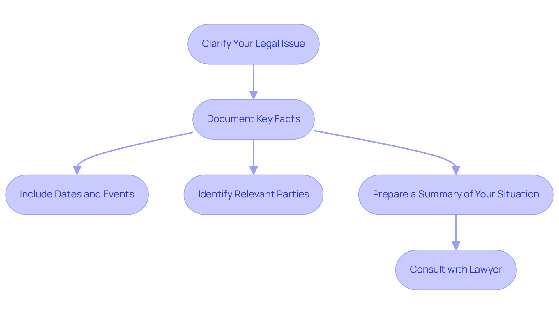 This flowchart guides you through the essential steps to prepare for your meeting with a lawyer. Each box represents a key action to take, helping ensure you present your legal issue clearly and effectively.