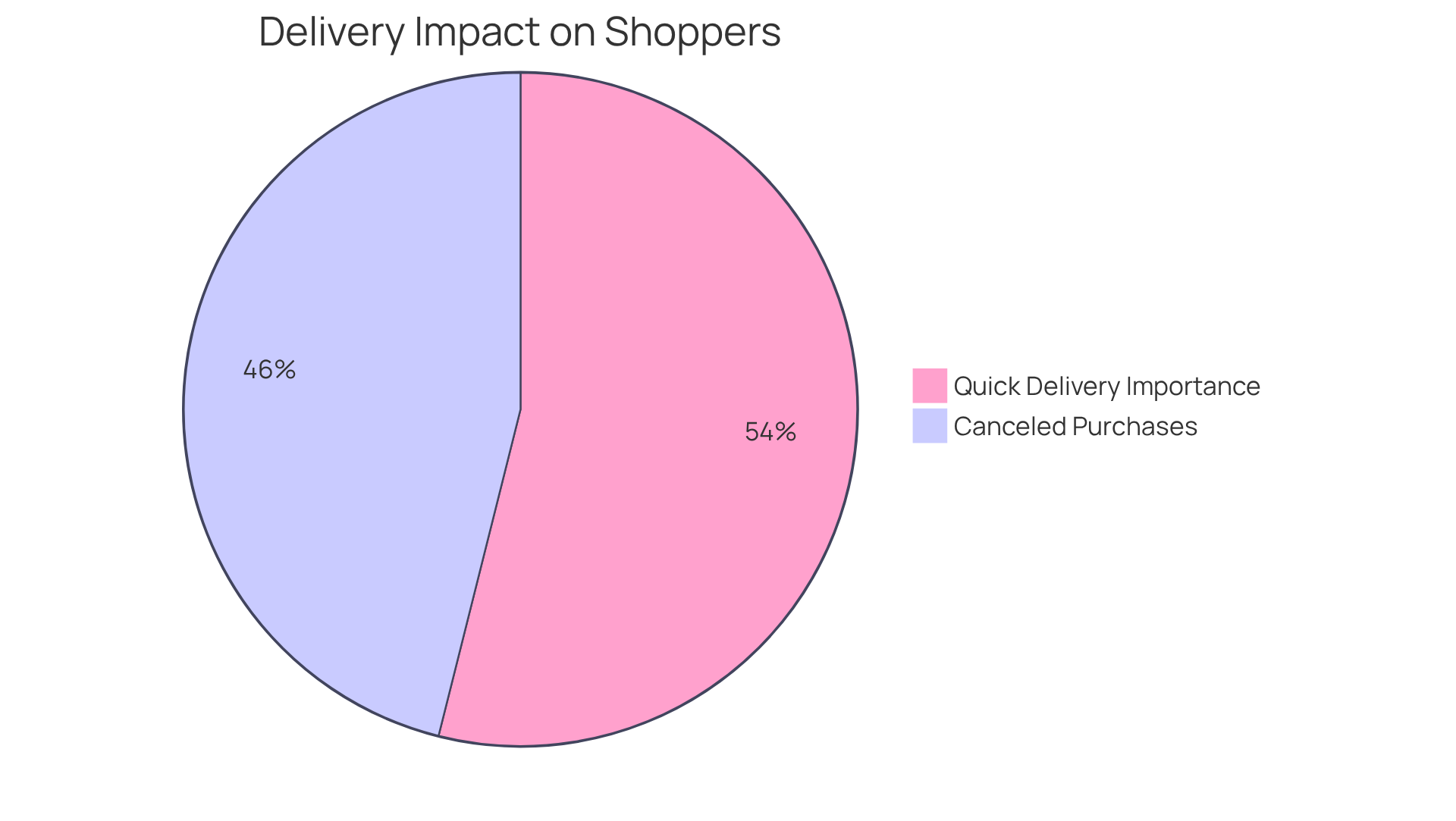 The blue slice shows how many shoppers value quick delivery, while the red slice indicates those who have abandoned purchases because of slow shipping. The larger the slice, the more significant the issue.