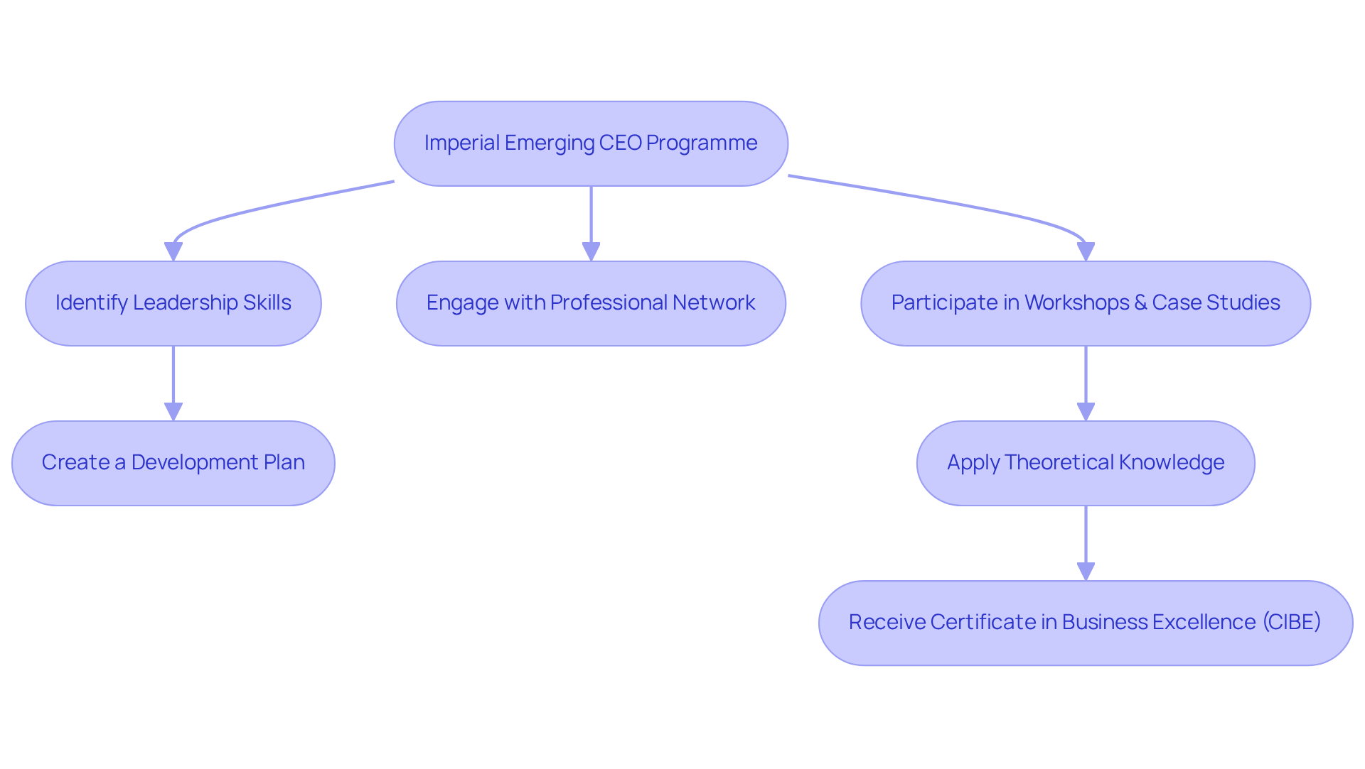 Follow the arrows to see how to develop your leadership skills through the program. Each step represents an action you can take to prepare for a CEO role. Follow the arrows to see how to develop your leadership skills through the program. Each step represents an action you can take to prepare for a CEO role.