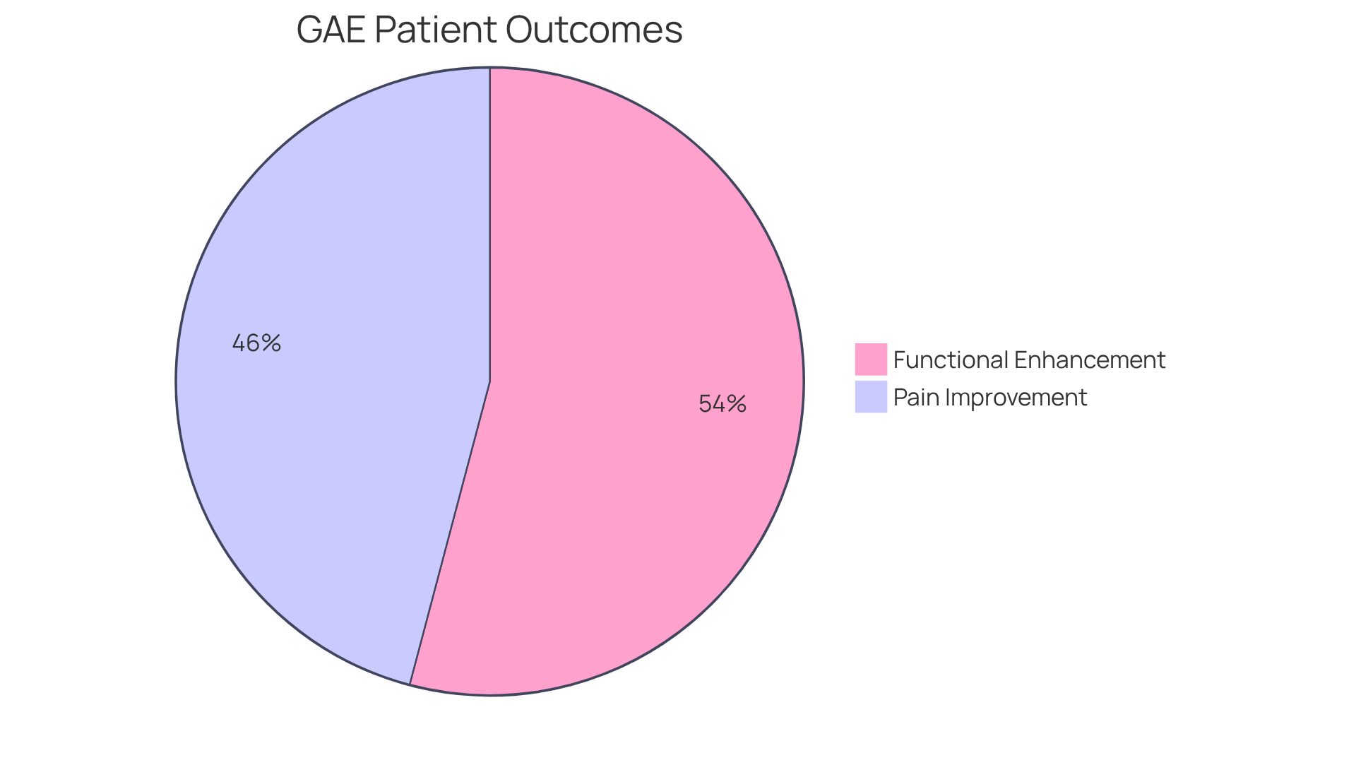 Each slice of the pie shows how many patients reported improvements: the blue slice indicates those who felt less pain, while the green slice shows those who found it easier to function after the procedure.