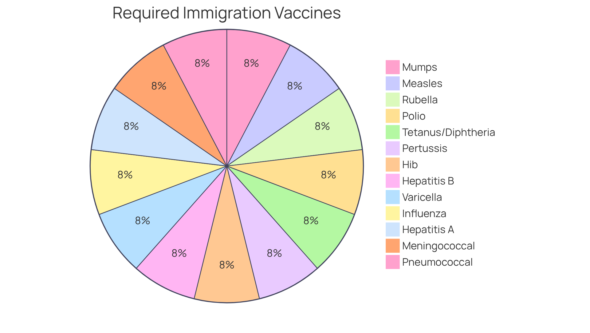 Each slice of the pie represents a required vaccine for immigration. Since all vaccines are equally important, each slice is the same size, showing that you need to be aware of all of them to ensure a smooth immigration process.