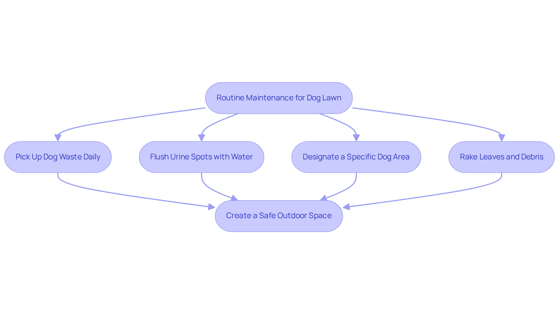 Follow the arrows to see the steps you need to take for maintaining your dog lawn. Each box represents an important action that contributes to a healthier outdoor space for your pets and family. Follow the arrows to see the steps you need to take for maintaining your dog lawn. Each box represents an important action that contributes to a healthier outdoor space for your pets and family.