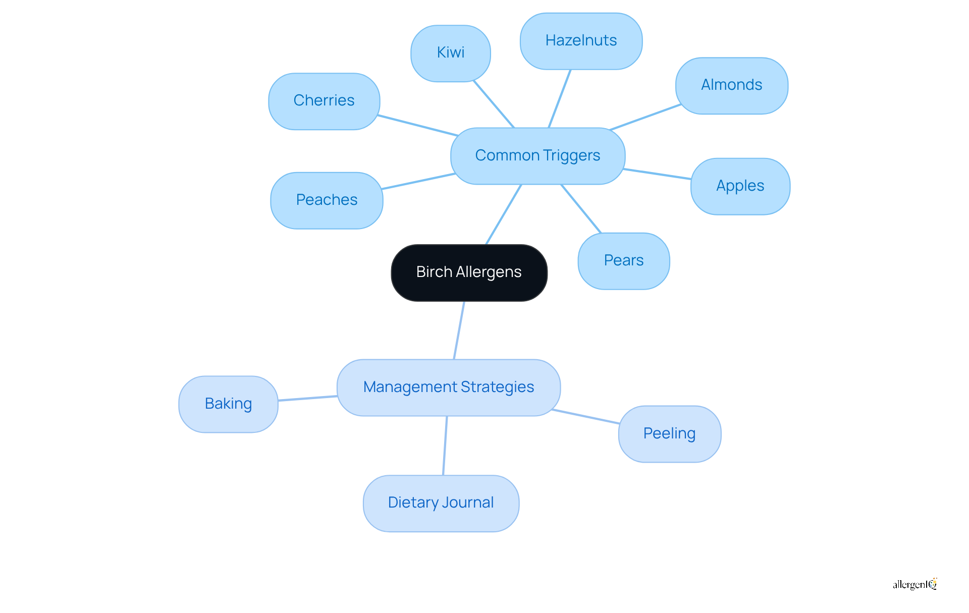 The central node represents birch allergens, with branches showing specific foods that can trigger reactions. The management strategies help you understand how to reduce risks and track symptoms.