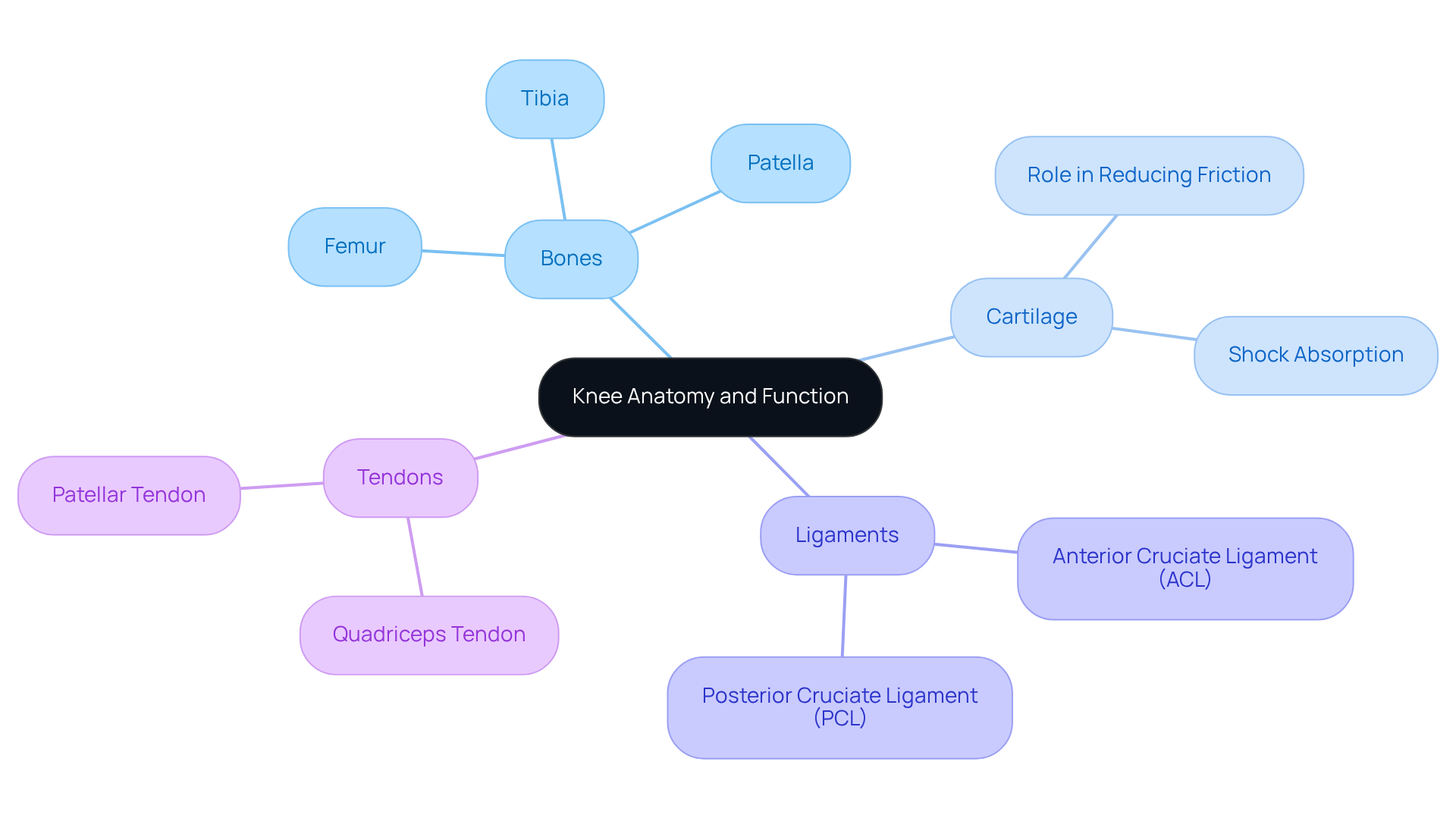 This mindmap shows the key components of the knee and how they work together. Each branch represents a part of the knee, with sub-branches explaining their specific roles and importance in movement and stability.