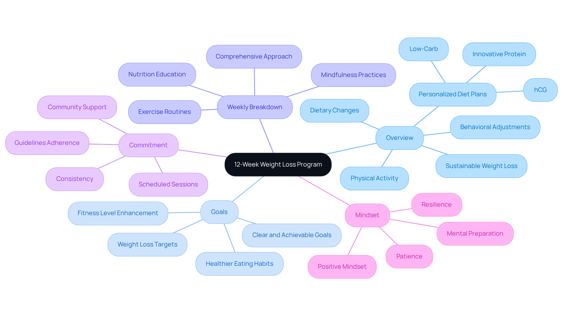 The center represents the overall program, and each branch shows a key component. Follow the branches to explore each aspect, from the program's overview to the mindset needed for success.