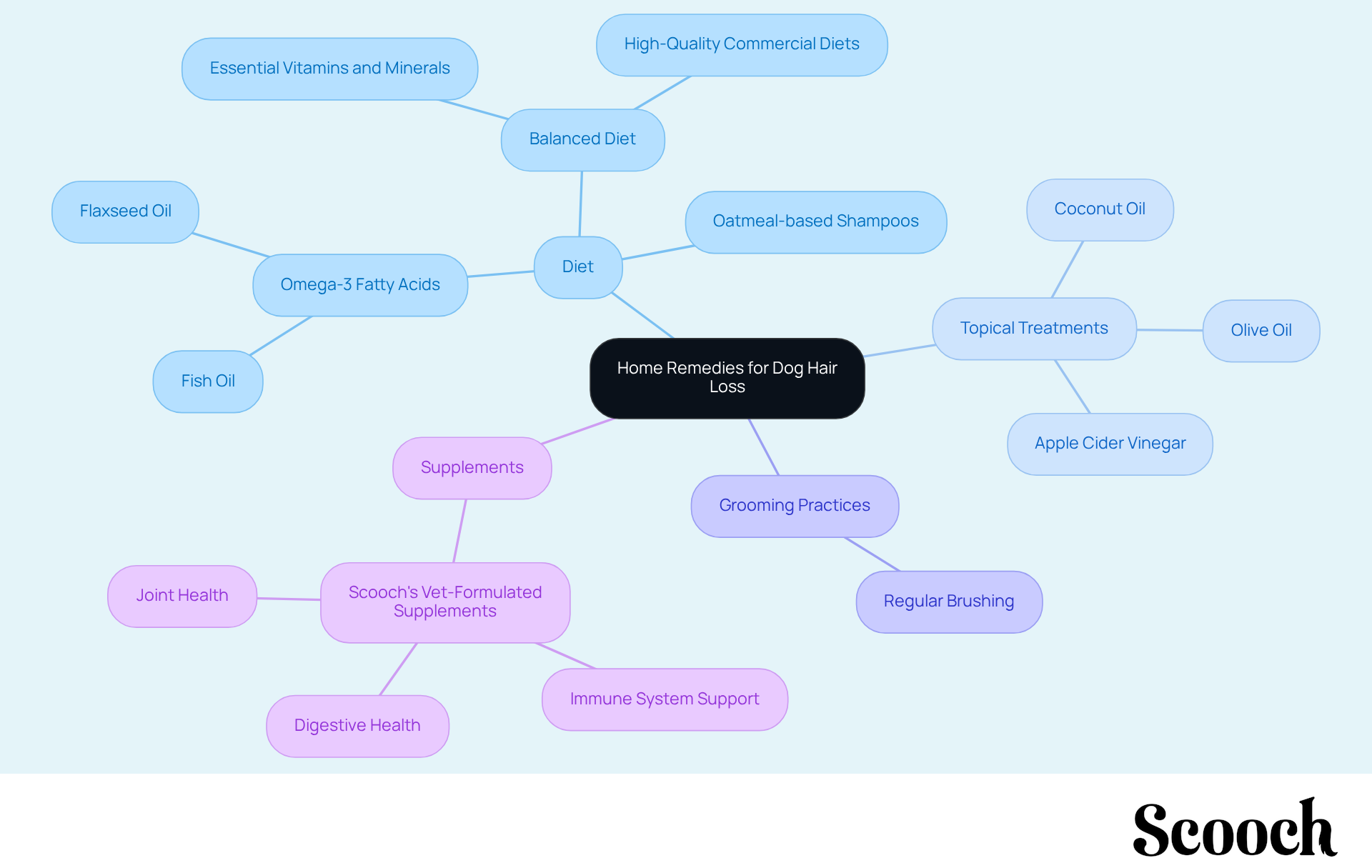 4 Essential Steps for Home Treatment of Dog Hair Loss
