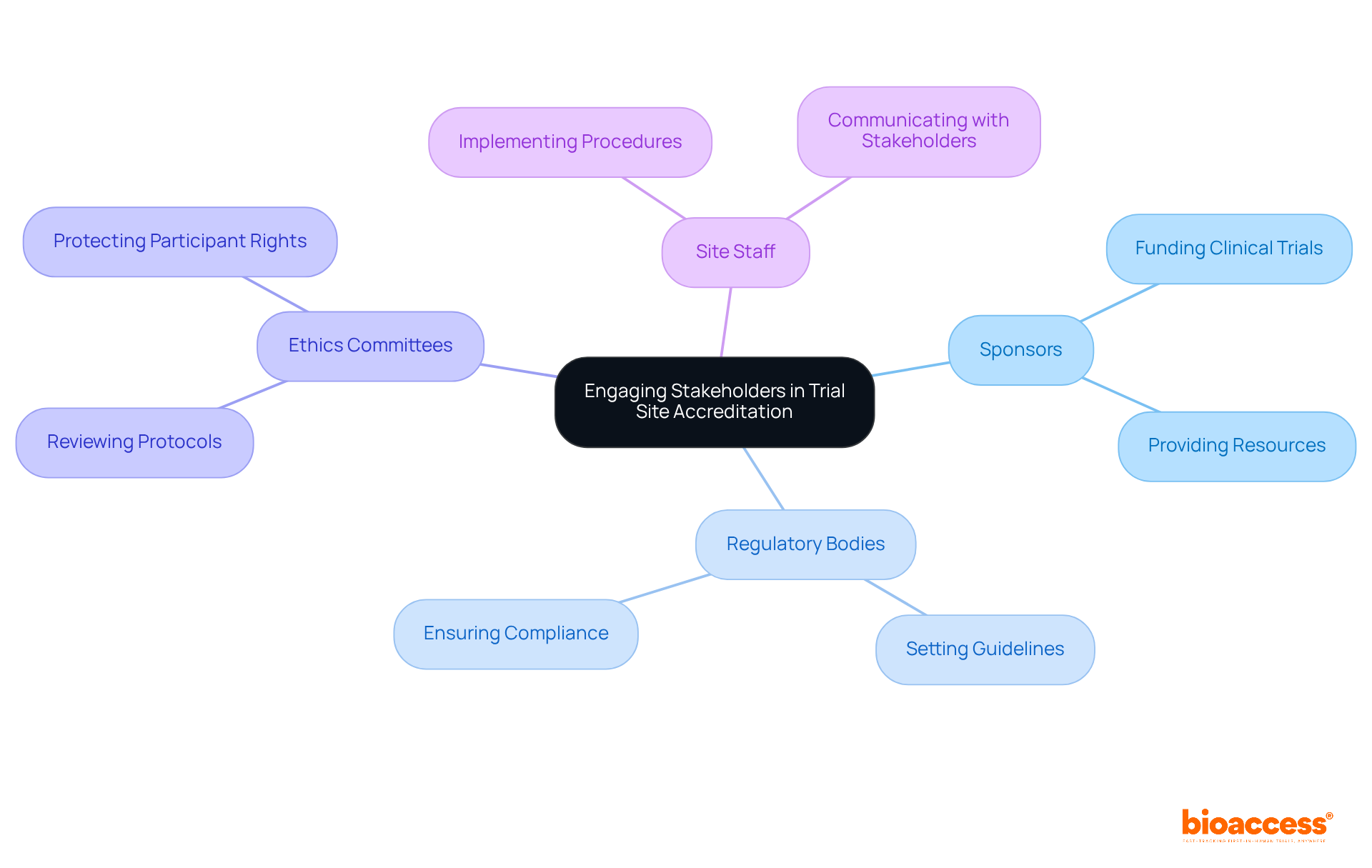 The central node represents the main topic, while the branches show the key stakeholders involved. Each branch can be explored to understand their specific roles and how they contribute to the accreditation process.