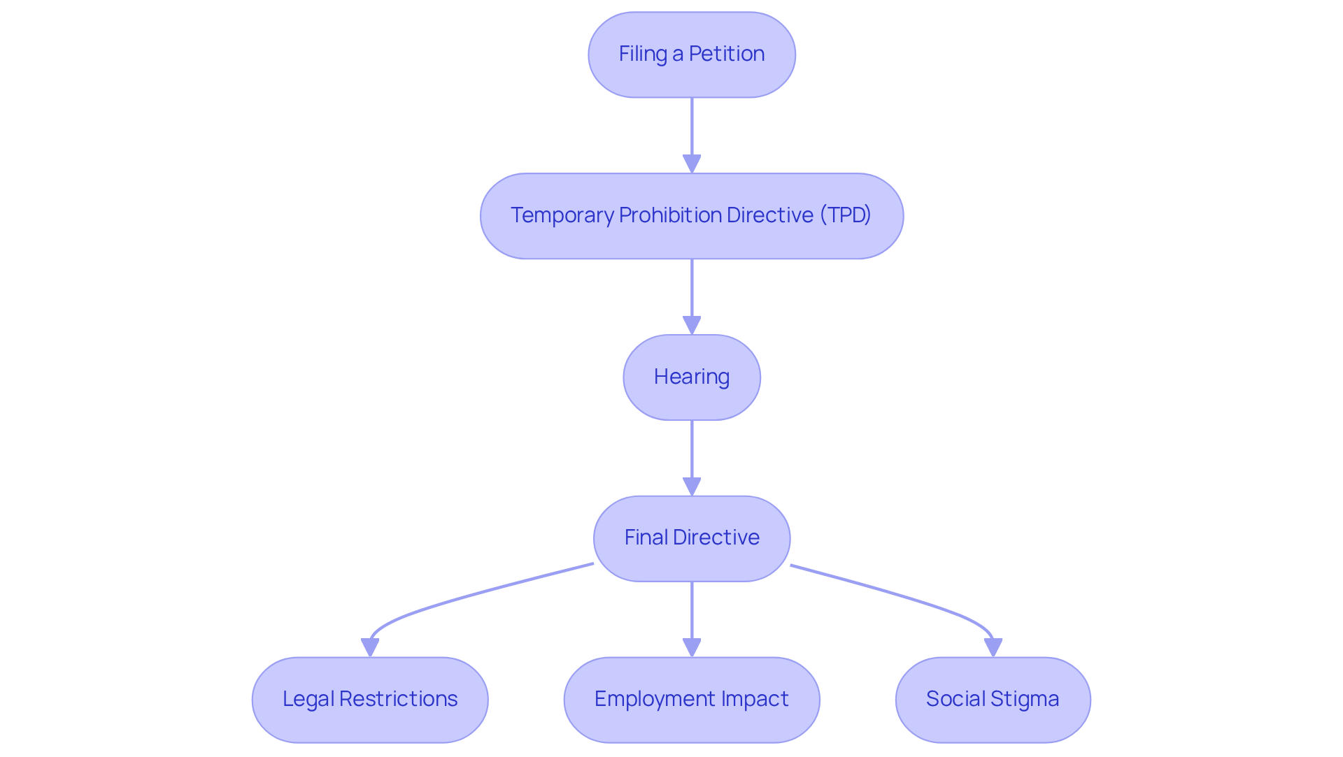 Follow the arrows to see how the process unfolds. Each box represents a step in obtaining a restraining order, and the branches show the potential consequences that can arise from the final directive.
