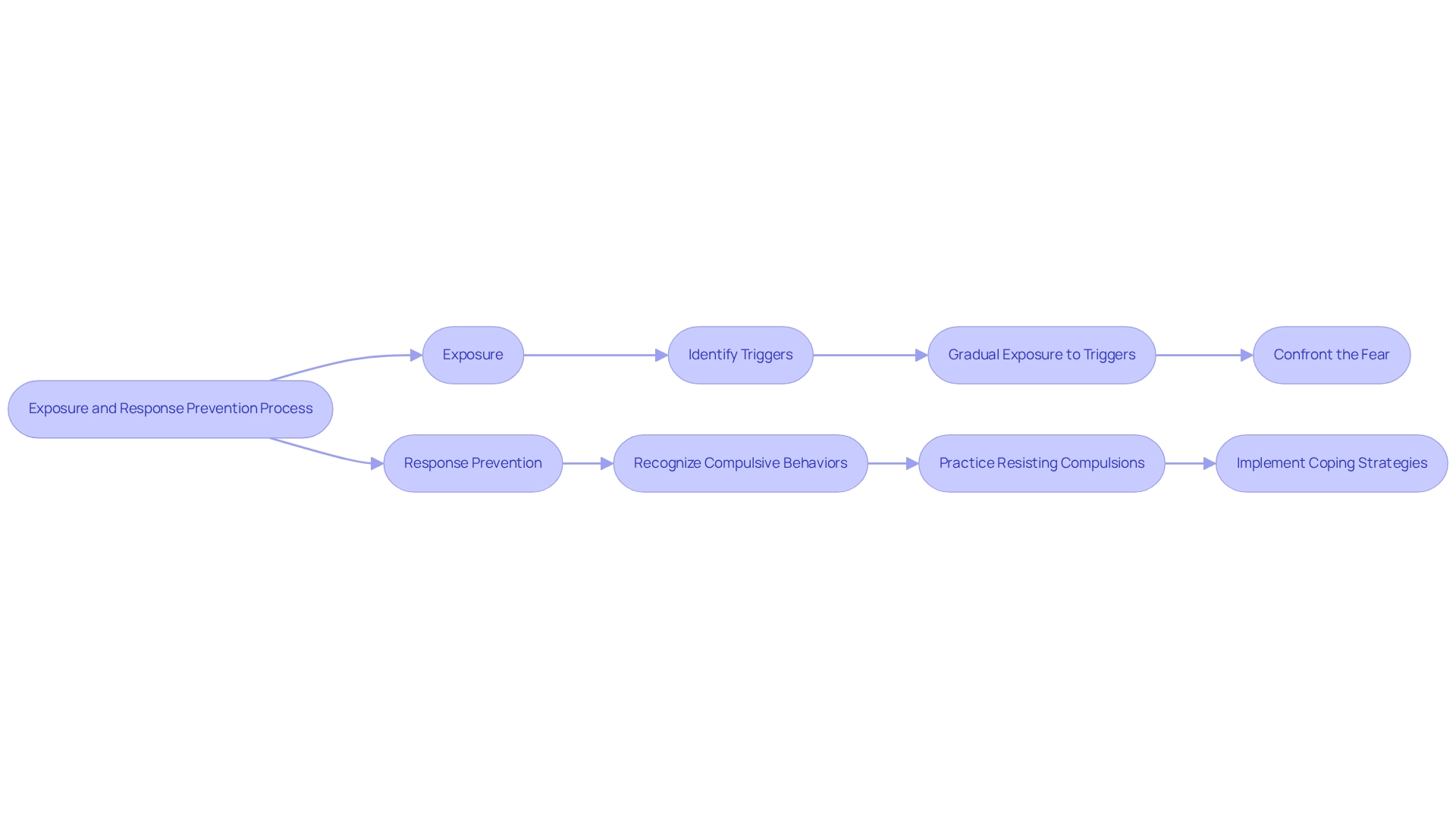 Each box represents a specific step in the ERP process, and the arrows indicate the sequence of actions to be taken during therapy. Each box represents a specific step in the ERP process, and the arrows indicate the sequence of actions to be taken during therapy.