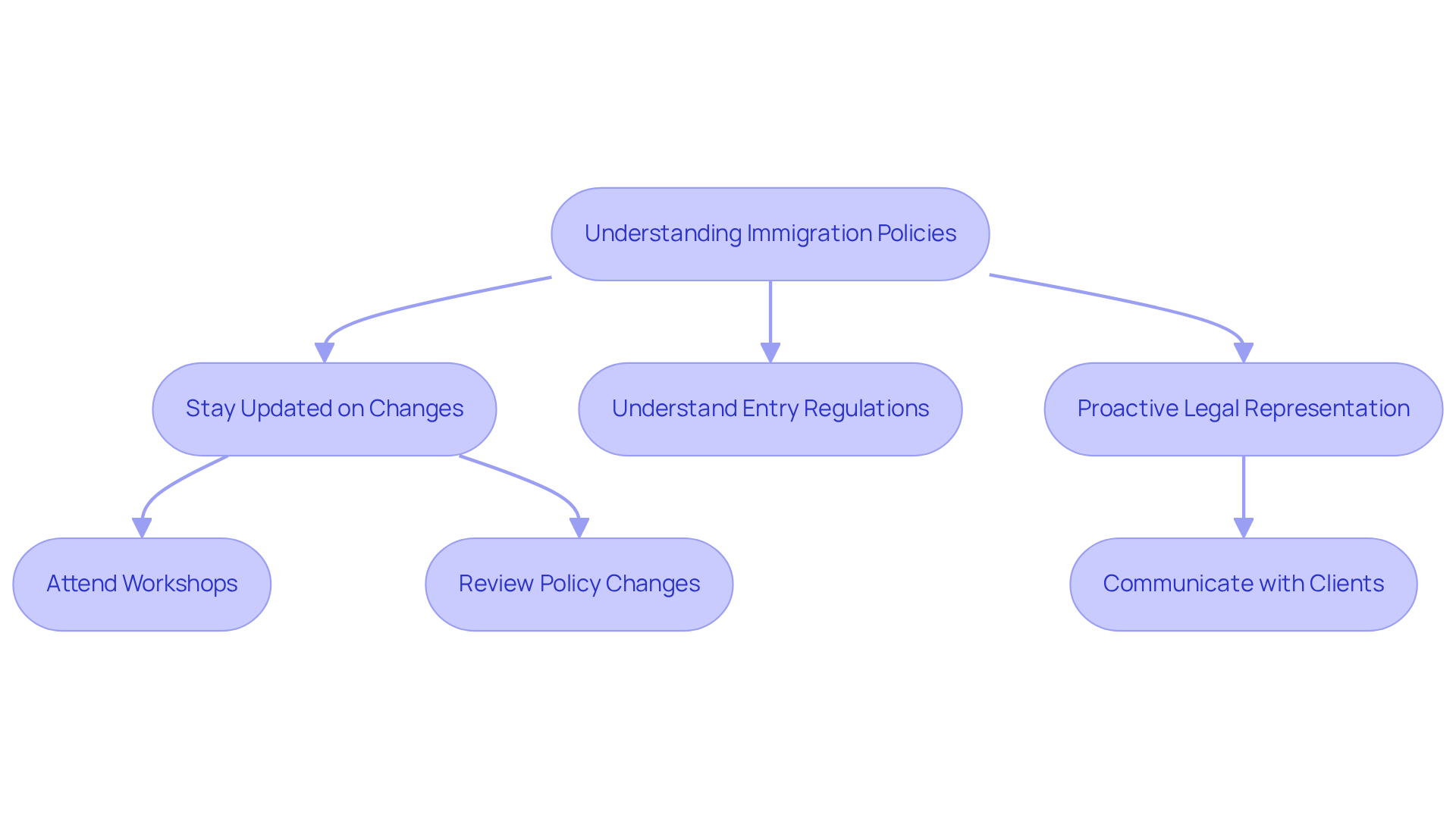 Follow the flow from understanding policies down to proactive representation. Each step represents a critical action in the process of providing effective legal support in immigration cases.