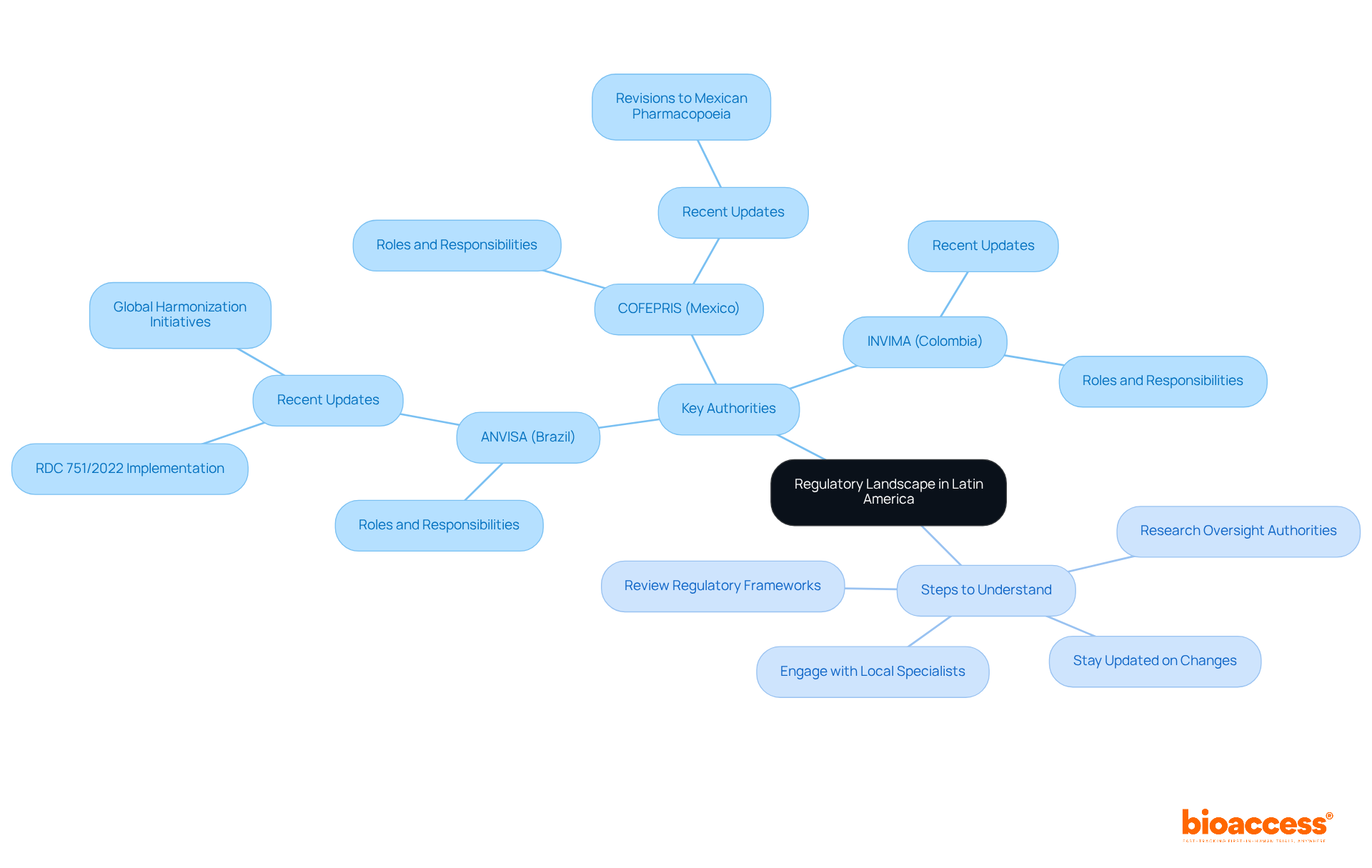 The center represents the main topic, while branches show key authorities and steps to navigate the regulatory environment. Each color-coded branch helps you see how different elements connect to the central theme.