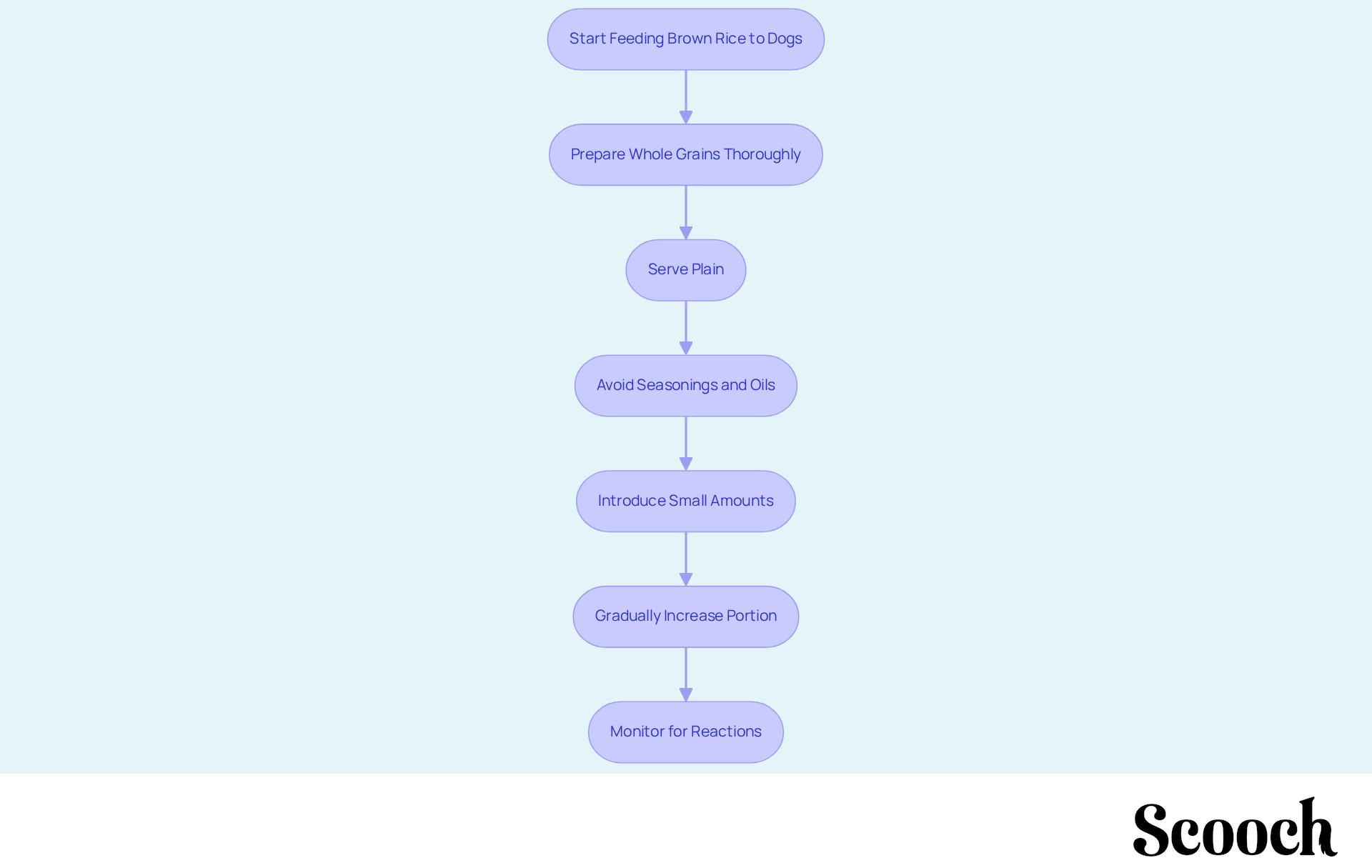 4 Reasons Dogs Can Have Brown Rice Safely and Healthily
