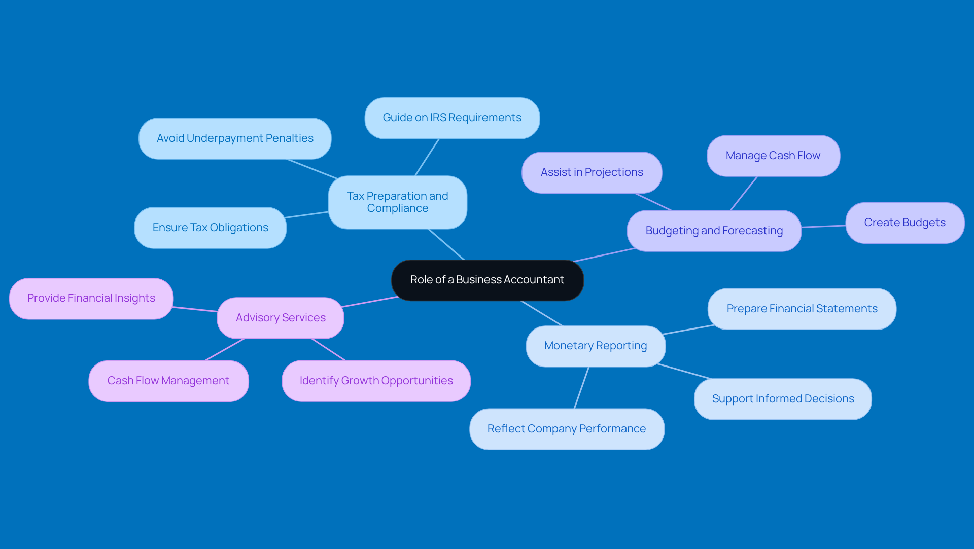 In the center, you'll find the main role of a business accountant. Each branch represents a key responsibility, and the sub-branches provide specific tasks or insights related to that role. This visual helps you see how each responsibility contributes to effective financial management. In the center, you'll find the main role of a business accountant. Each branch represents a key responsibility, and the sub-branches provide specific tasks or insights related to that role. This visual helps you see how each responsibility contributes to effective financial management.