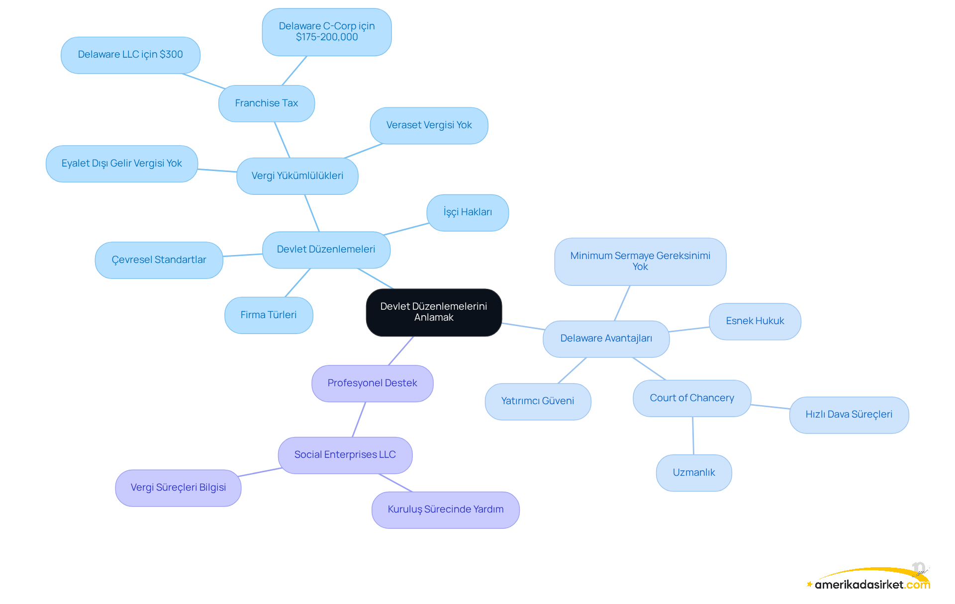 Merkezdeki başlık, devlet düzenlemeleri konusunu temsil ediyor. Dallar, bu konunun farklı yönlerini ve detaylarını gösteriyor. Her dalın altında, ilgili bilgileri bulabilirsiniz.