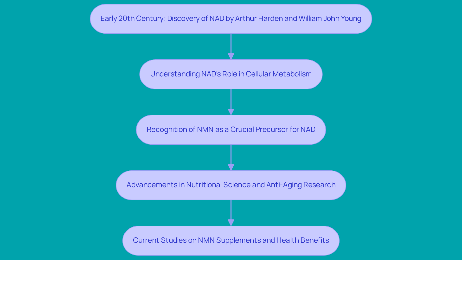 Each box represents a key milestone in the history of NMN supplements. Follow the arrows to see how each discovery leads to the next, culminating in today's research on health benefits.