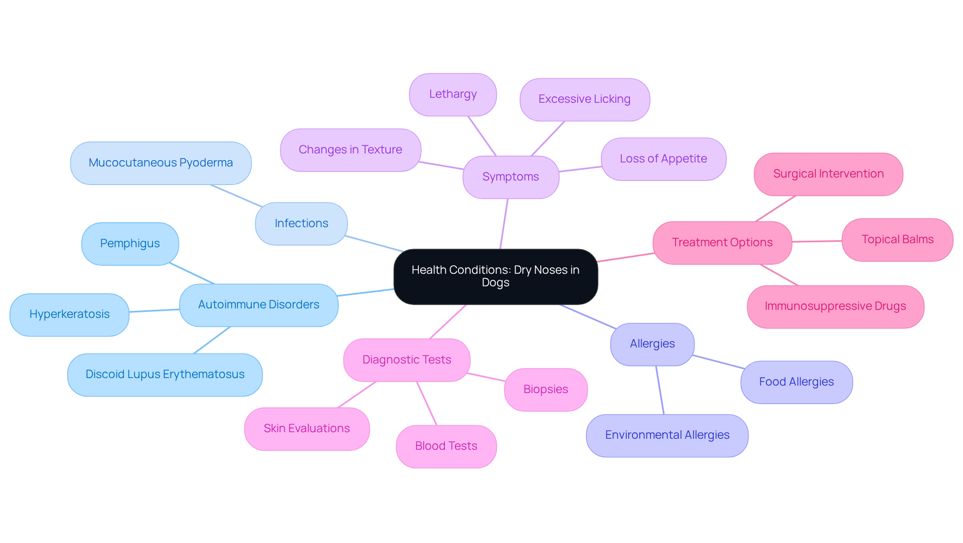 Start at the center to explore health conditions affecting dogs' noses. Follow the branches to discover specific disorders, symptoms to watch for, tests your vet might recommend, and possible treatments.