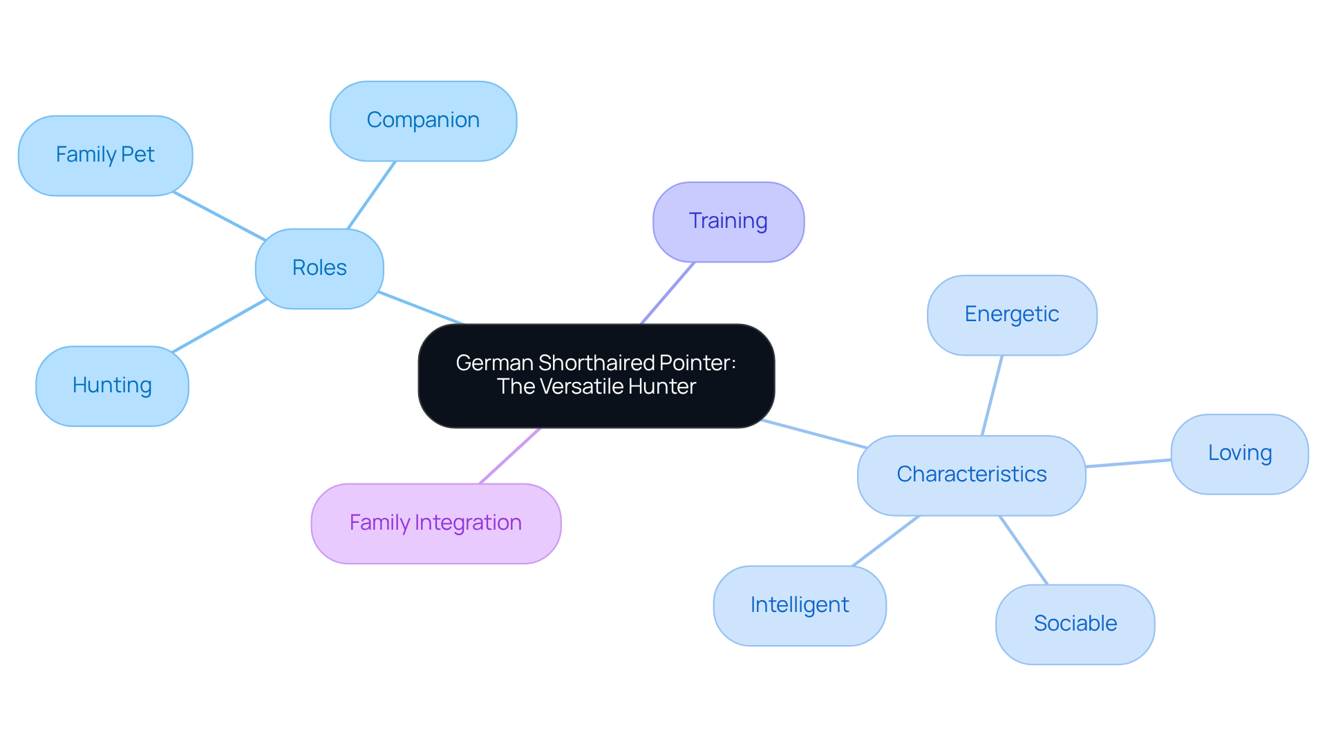 This mindmap shows the different aspects of German Shorthaired Pointers. Start from the center and explore how their roles and characteristics connect, illustrating why they're such beloved companions.