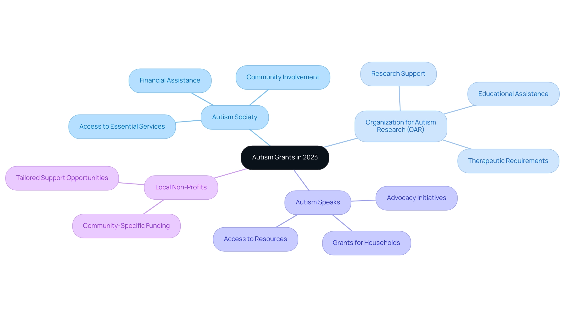 The central node represents autism grants, with branches showing key organizations and their specific support initiatives.