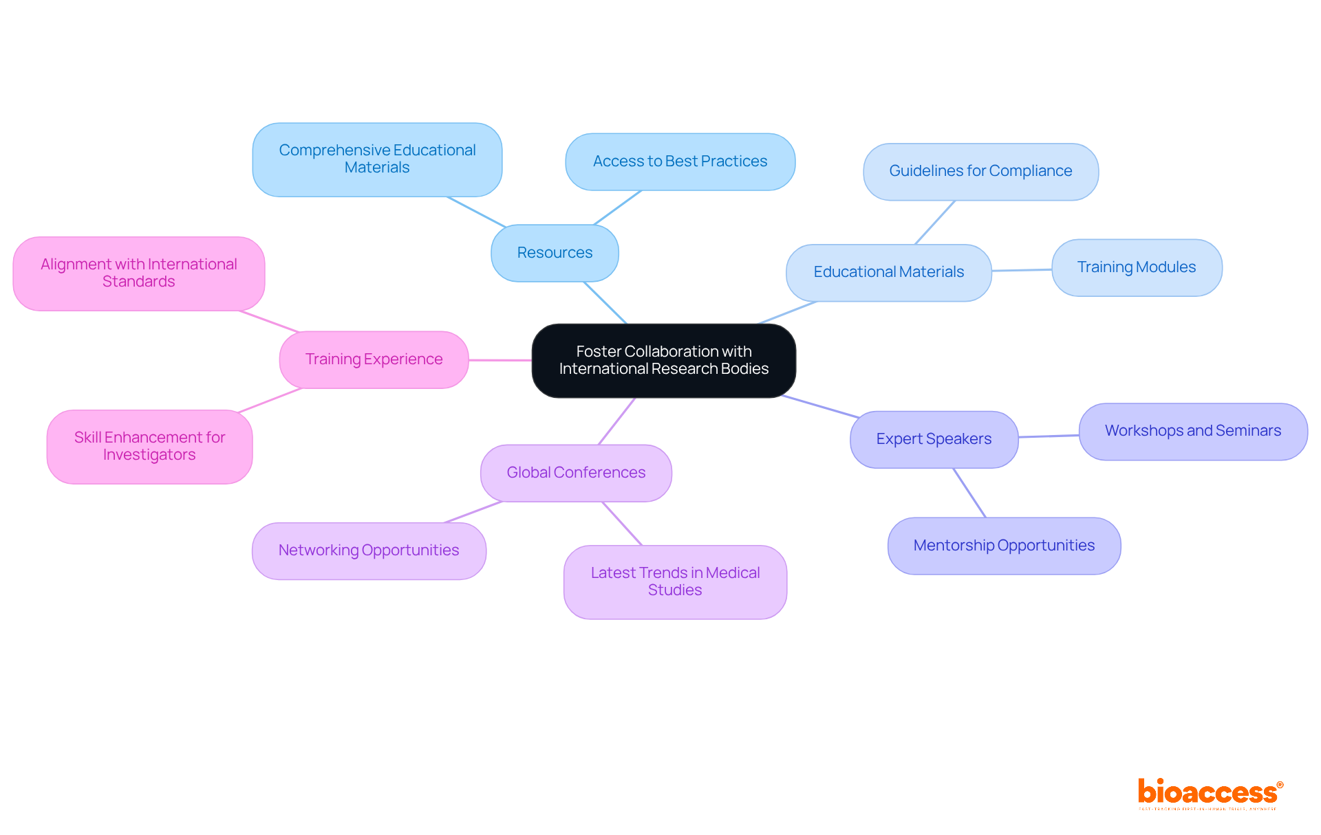 Start at the center with the main idea of collaboration, then follow the branches to explore the various resources and benefits that come from working with international organizations.