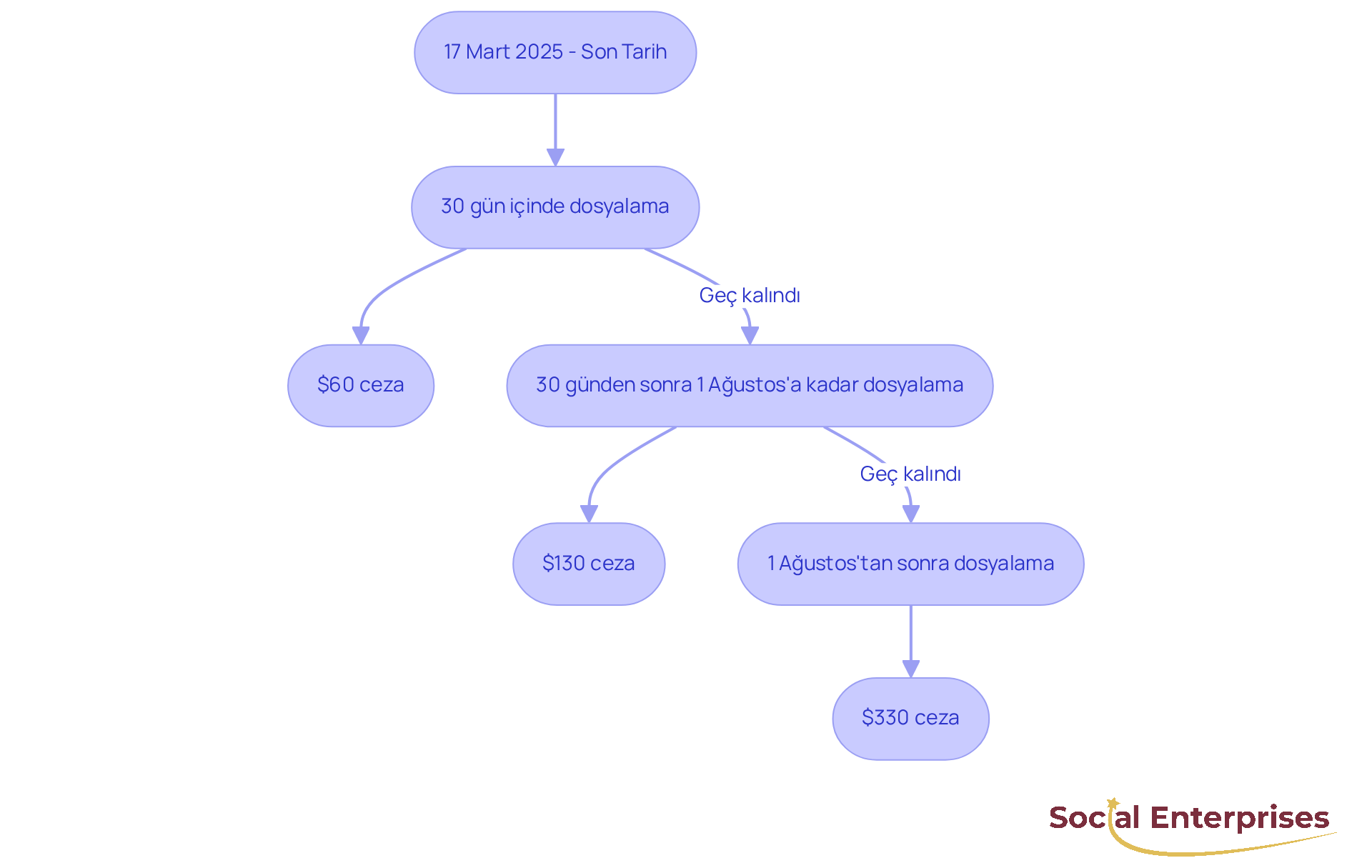 Diyagramda, her kutu bir aşamayı temsil eder. Oklar, hangi aşamadan hangisine geçildiğini gösterir. Cezalar, geç kalındıkça nasıl arttığını göstermektedir — bu nedenle zamanında dosyalama yapmak çok önemlidir. Diyagramda, her kutu bir aşamayı temsil eder. Oklar, hangi aşamadan hangisine geçildiğini gösterir. Cezalar, geç kalındıkça nasıl arttığını göstermektedir — bu nedenle zamanında dosyalama yapmak çok önemlidir.
