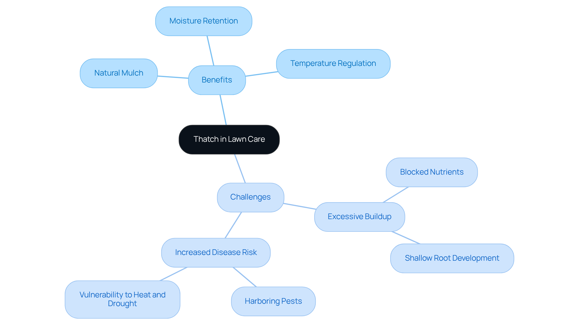 The central node represents thatch, with branches showing its benefits and challenges. Each point under these categories explains how thatch can help or hinder lawn health.