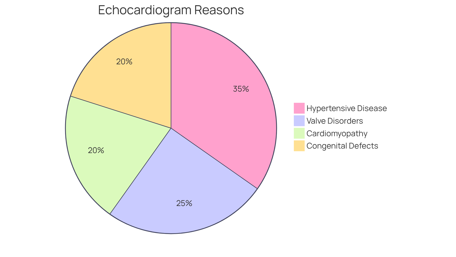 Each slice of the pie shows a different reason for getting an echocardiogram. The larger the slice, the more common that reason is. For example, the blue slice represents hypertensive cardiovascular disease, which is the leading reason for these tests.