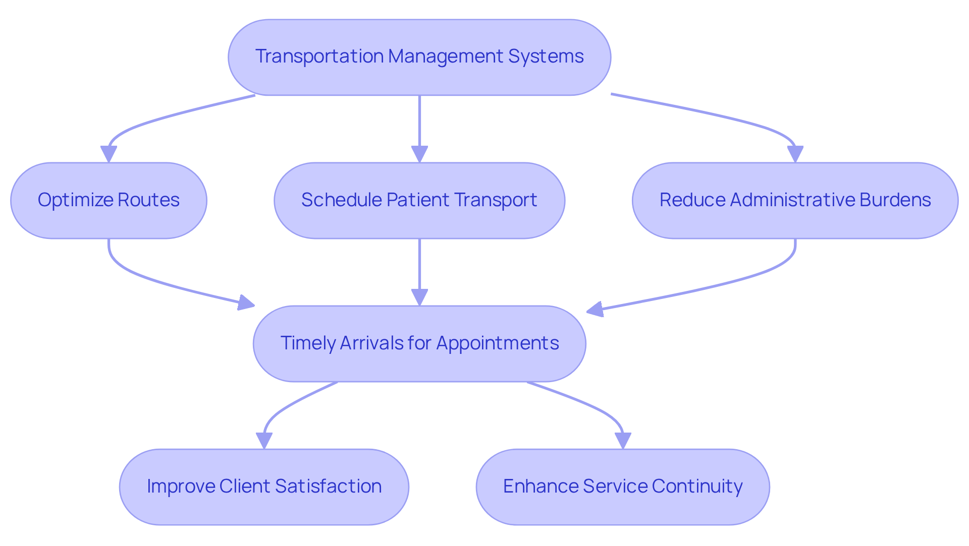 Follow the arrows to see how transportation management systems streamline patient logistics, from optimizing routes to improving client satisfaction.
