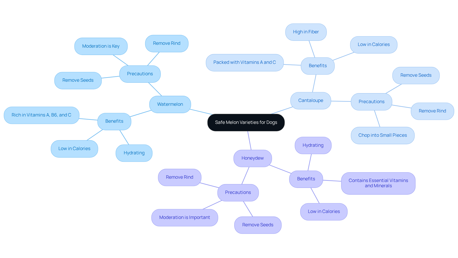 The center shows the main topic, and each branch details a type of melon with its benefits and safety tips, making it easy to understand which fruits are safe for your furry friends.