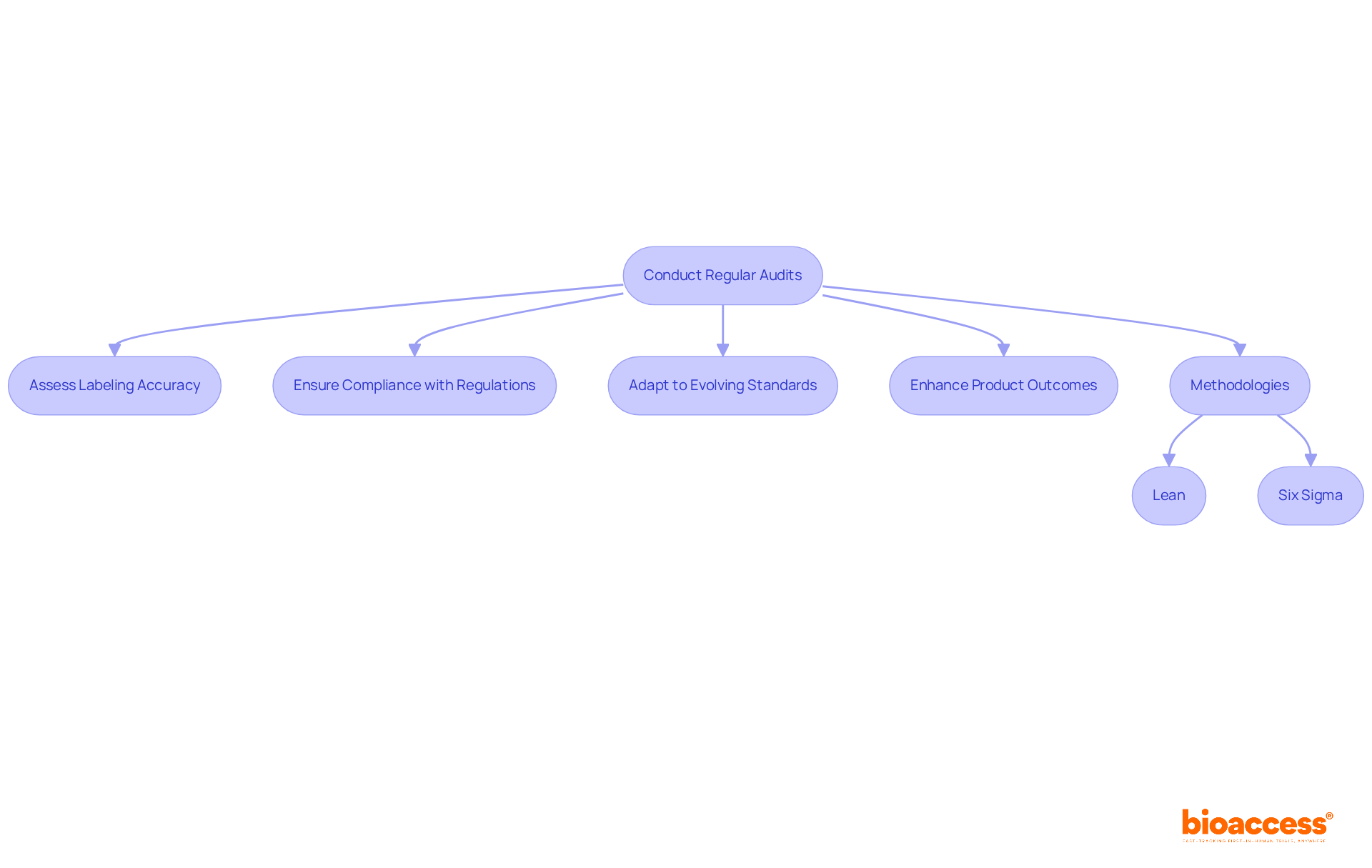 Follow the arrows to see how conducting audits leads to various improvements in labeling processes. Each box represents a key step or outcome, and the side branch shows the methodologies that can enhance the auditing process.