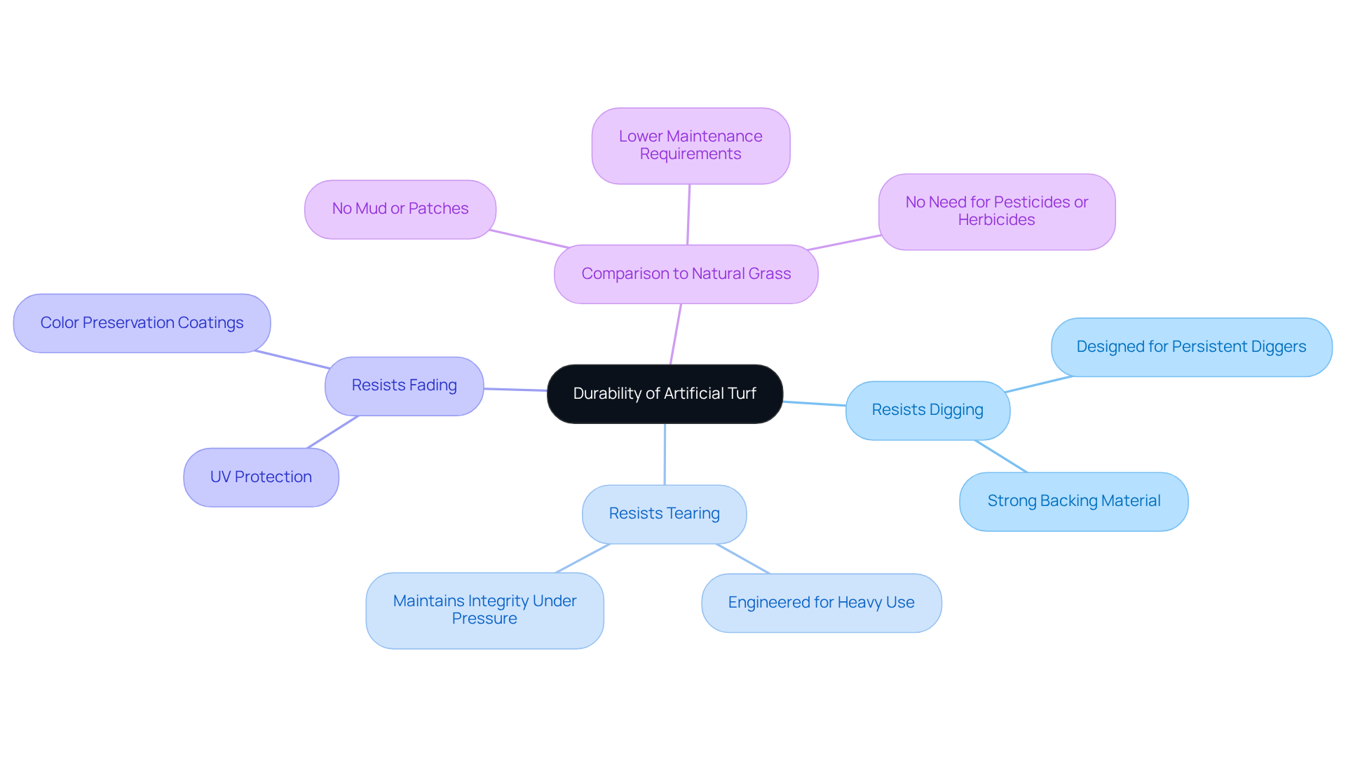 The center shows the main topic of durability, and the branches highlight specific benefits of artificial turf compared to natural grass. Each point illustrates how synthetic turf stands up to the playful activities of pets.