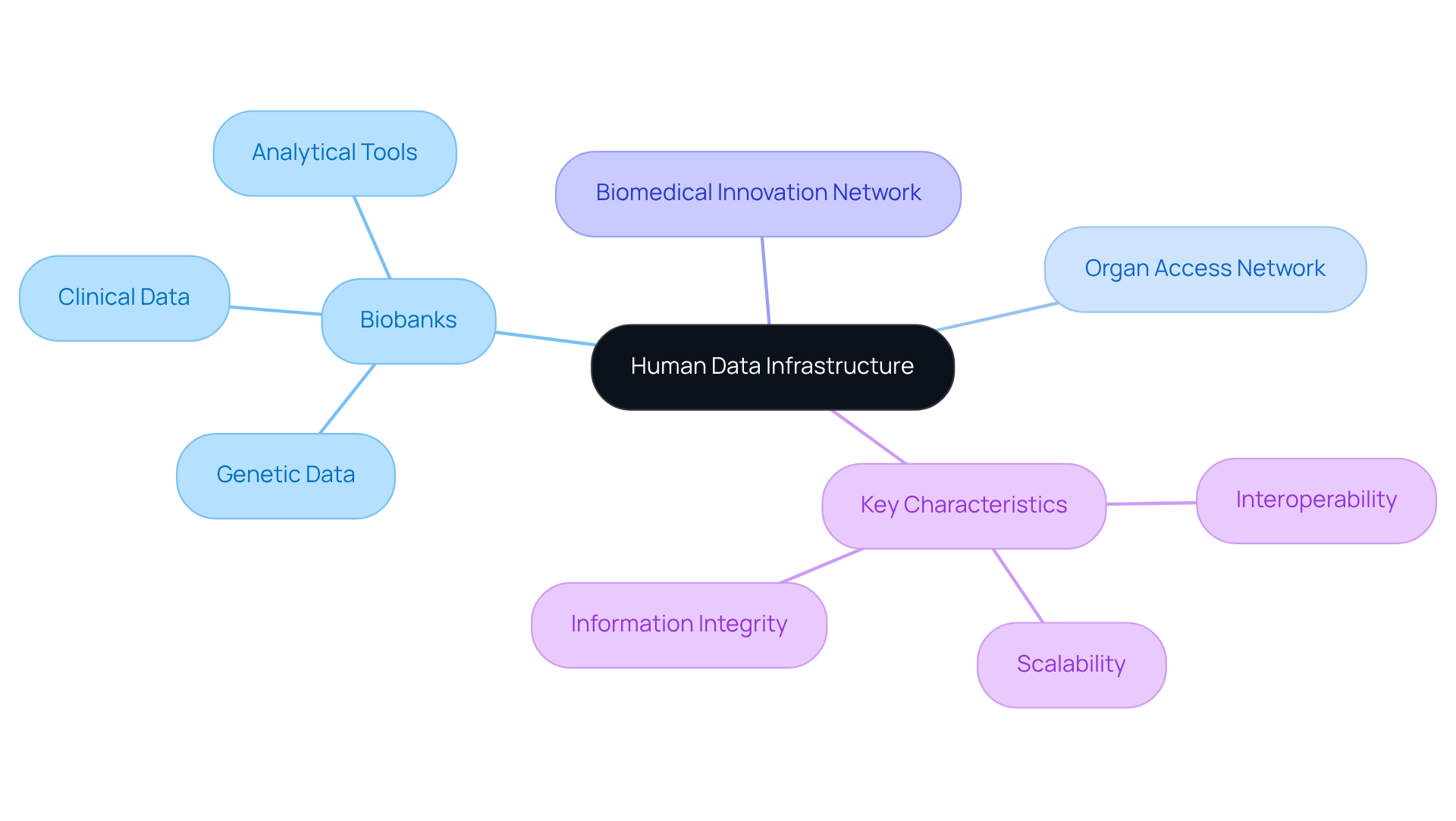 The central node represents the overall infrastructure, while the branches show the key components and characteristics that support drug discovery. Each branch connects to specific aspects, illustrating how they work together.