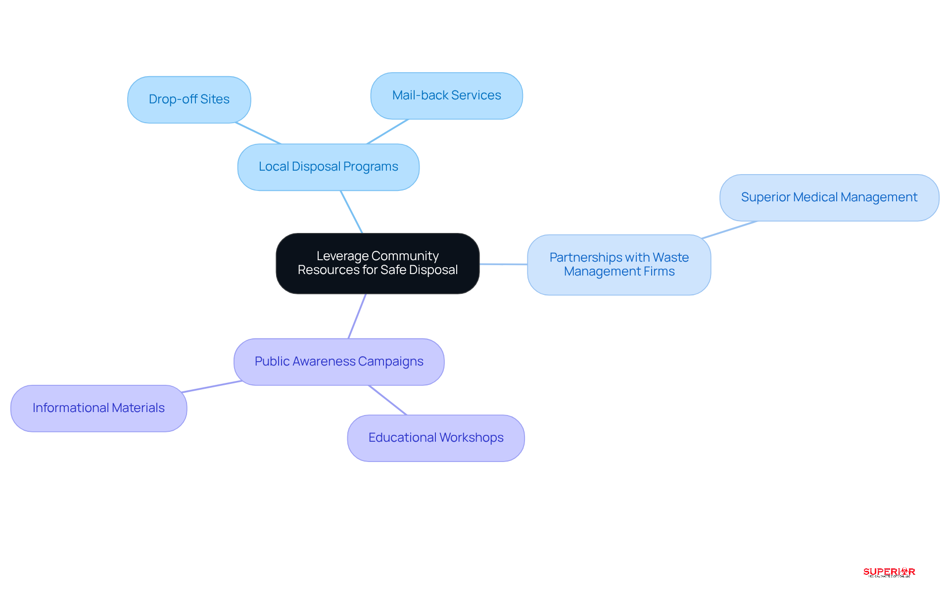 Start at the center with the main idea of leveraging community resources, then follow the branches to see specific strategies and actions that support safe syringe disposal. Start at the center with the main idea of leveraging community resources, then follow the branches to see specific strategies and actions that support safe syringe disposal.