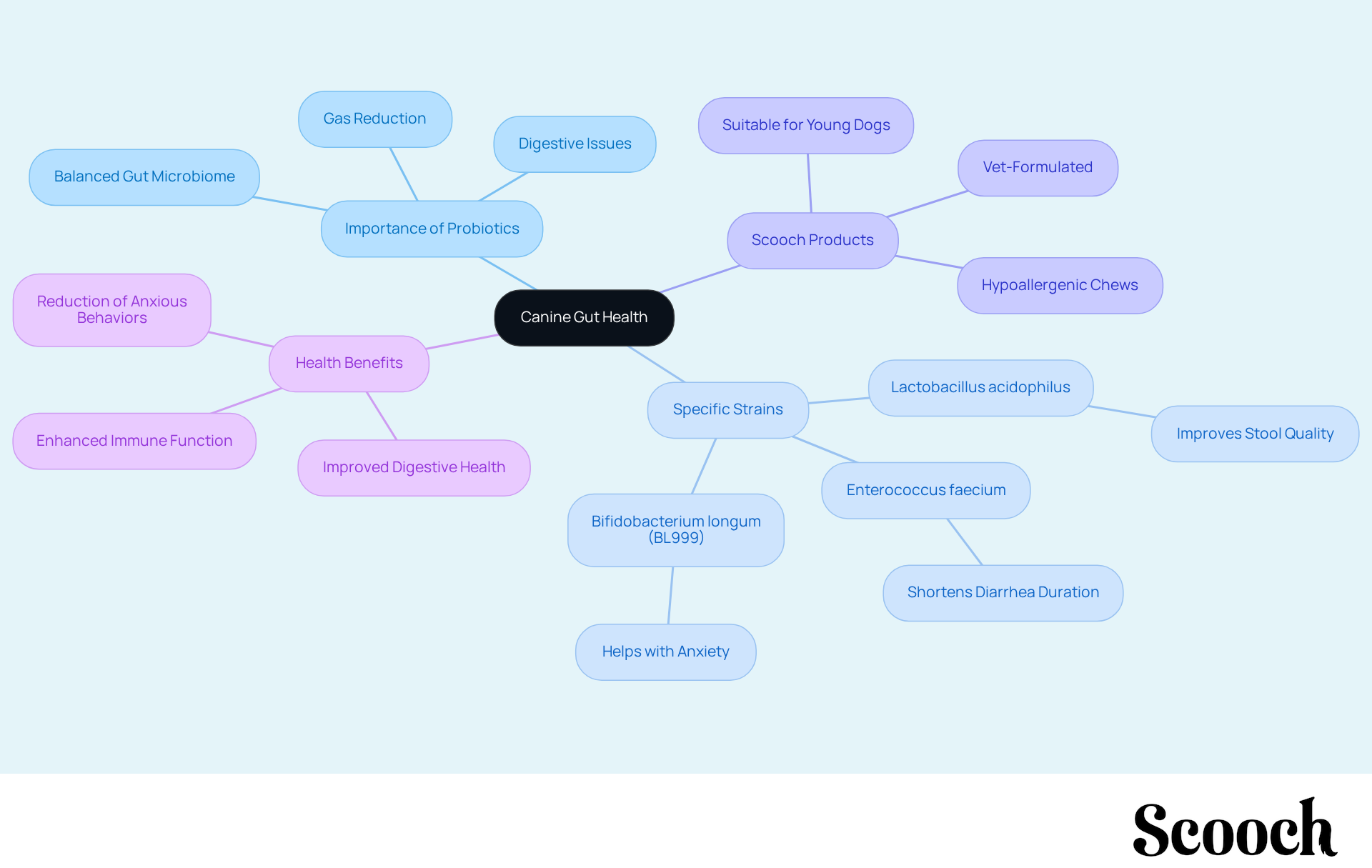 Start at the center with the main topic of canine gut health, then explore how probiotics and specific products like Scooch contribute to your dog's wellness. Each branch breaks down the information into easy-to-understand segments.