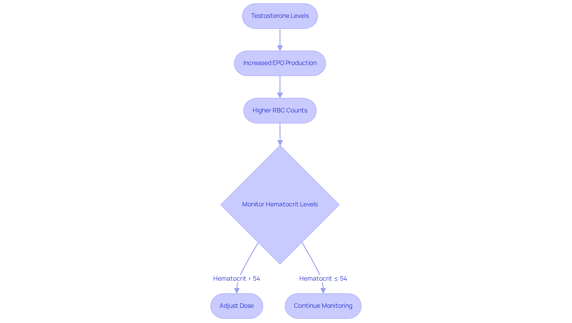 This flowchart shows how testosterone affects red blood cell production. Start at the top with testosterone levels, follow the arrows to see how it increases EPO, which then raises RBC counts. Finally, check hematocrit levels to decide on further actions. This flowchart shows how testosterone affects red blood cell production. Start at the top with testosterone levels, follow the arrows to see how it increases EPO, which then raises RBC counts. Finally, check hematocrit levels to decide on further actions.