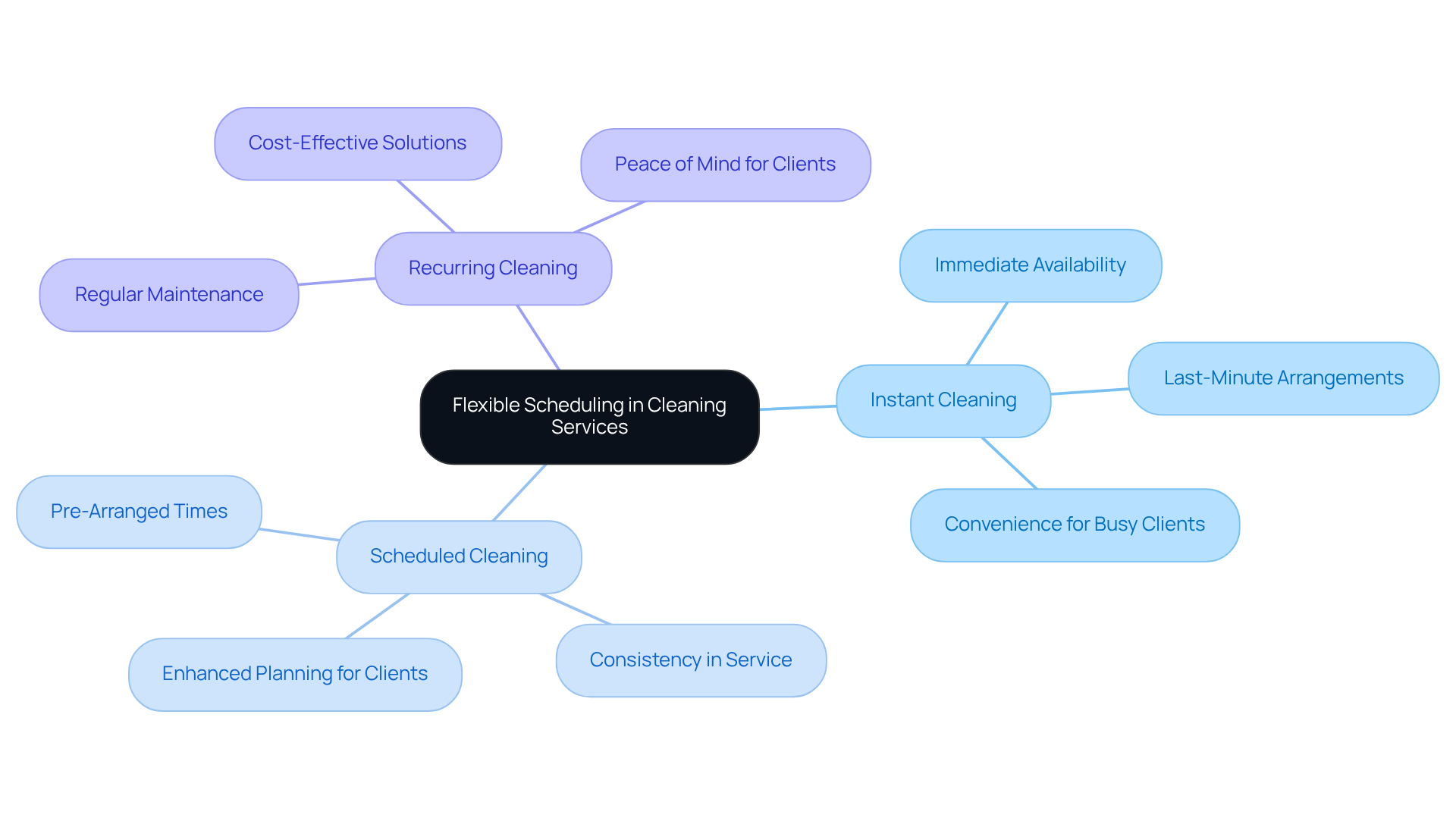The center shows the main idea of flexible scheduling, and the branches represent different cleaning options. Each branch can have additional details about what makes that option unique.