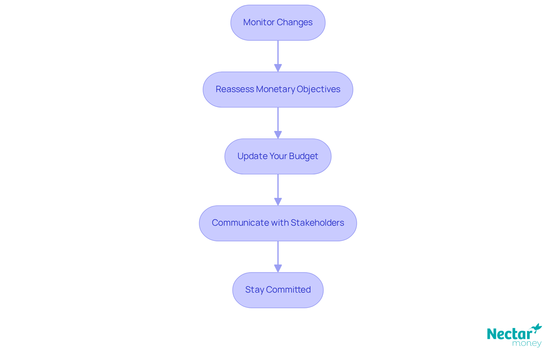 4 Steps to Budgeting in NZ for Financial Management | Nectar Money